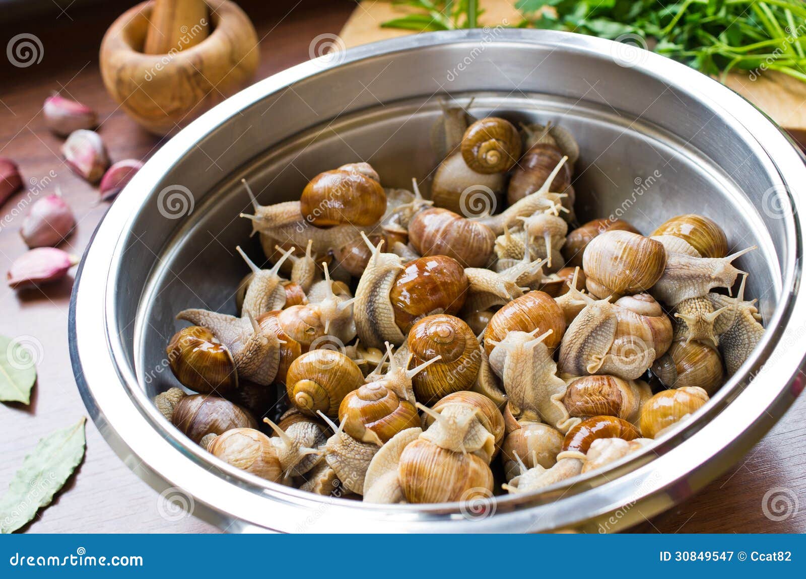 Snails in the Bowl during Preparation Stock Image - Image of snail ...