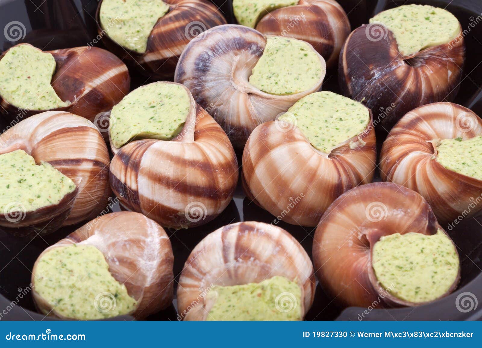 Snails with garlic butter stock photo. Image of tray - 19827330