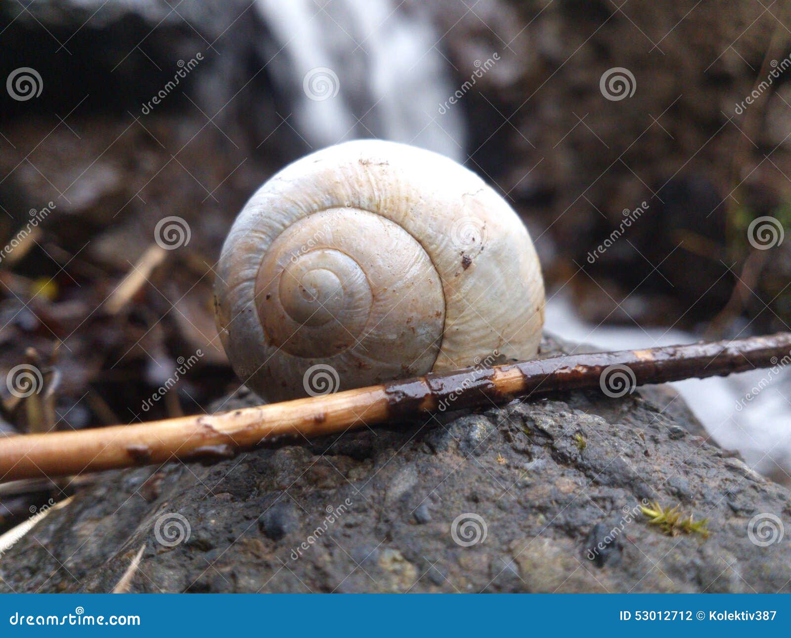 The Snails House Near the Waterfall in the Forest. Stock Photo - Image ...