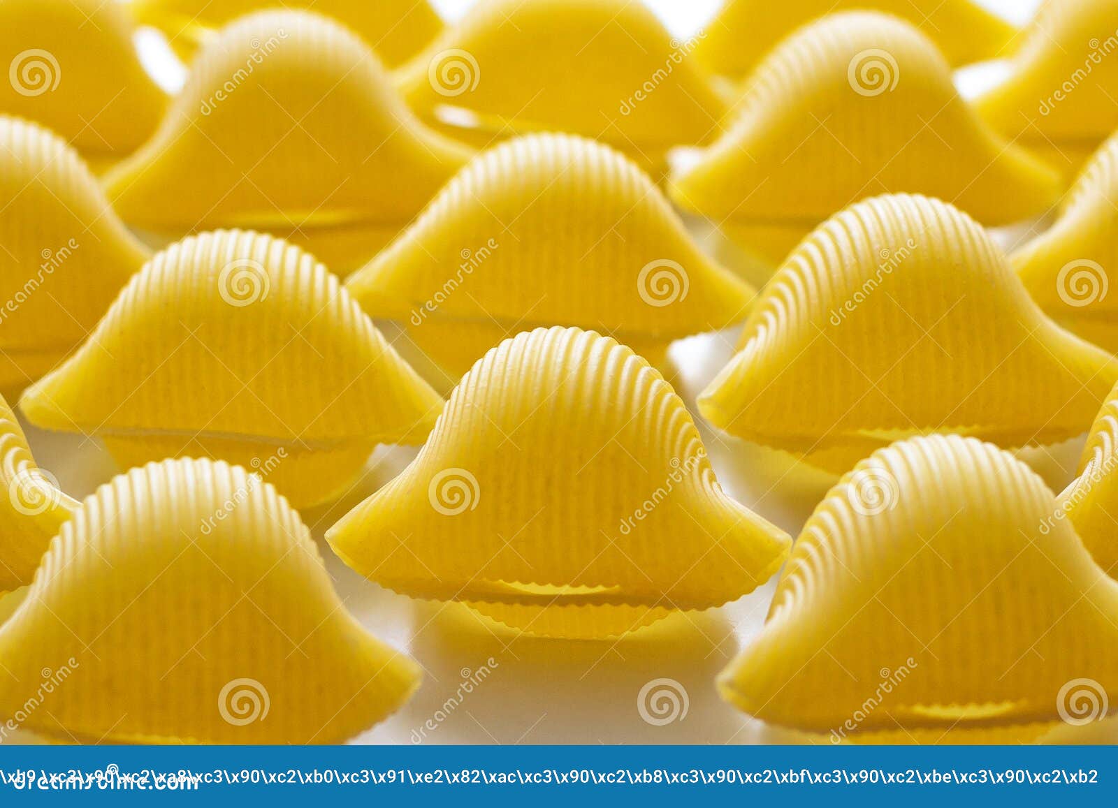 Snails - Italian Pasta Lumaconi Stock Image - Image of design, closeup ...