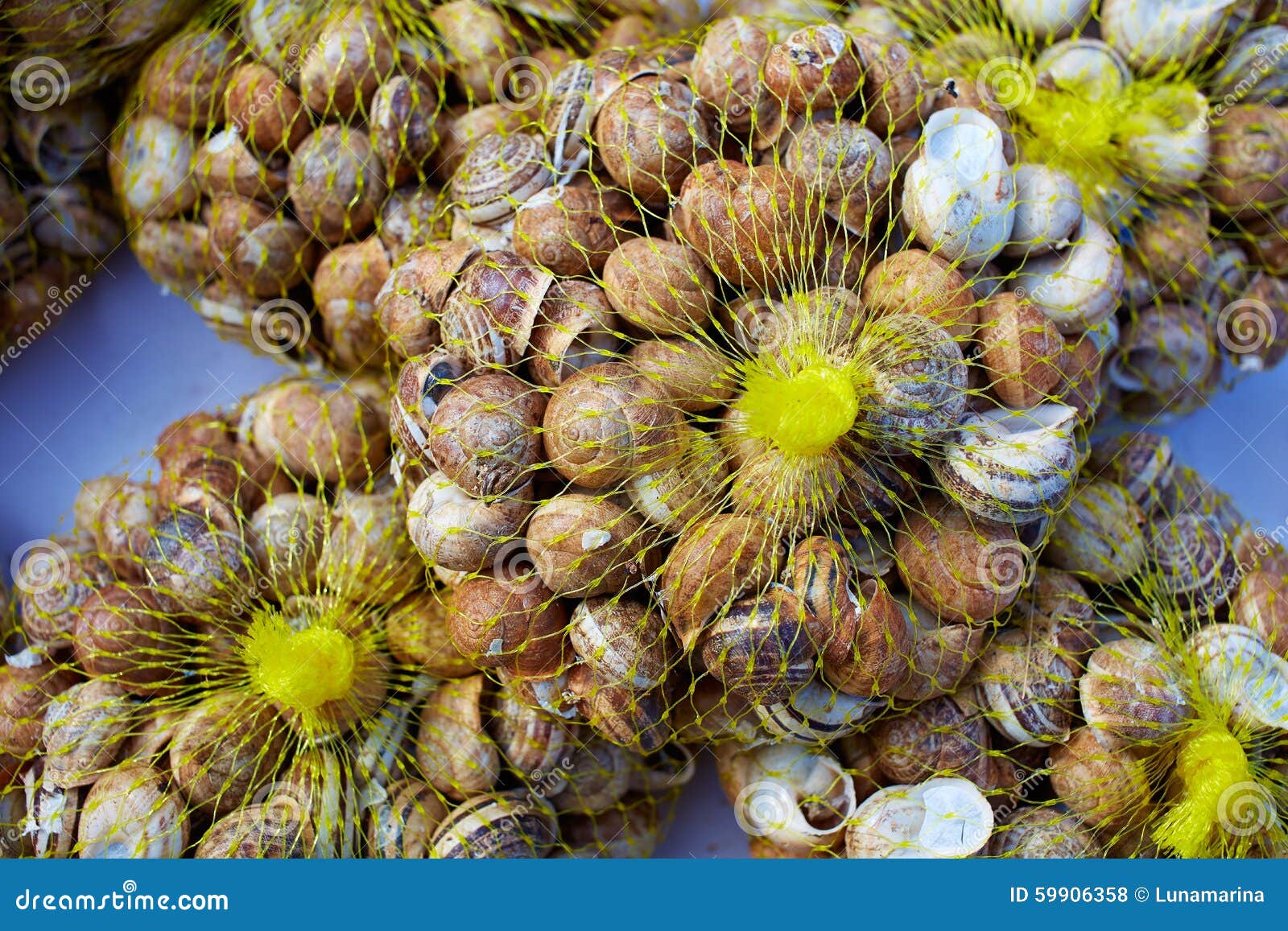 Snails in Mesh Grid Net Bag As Food Stock Photo - Image of animal ...