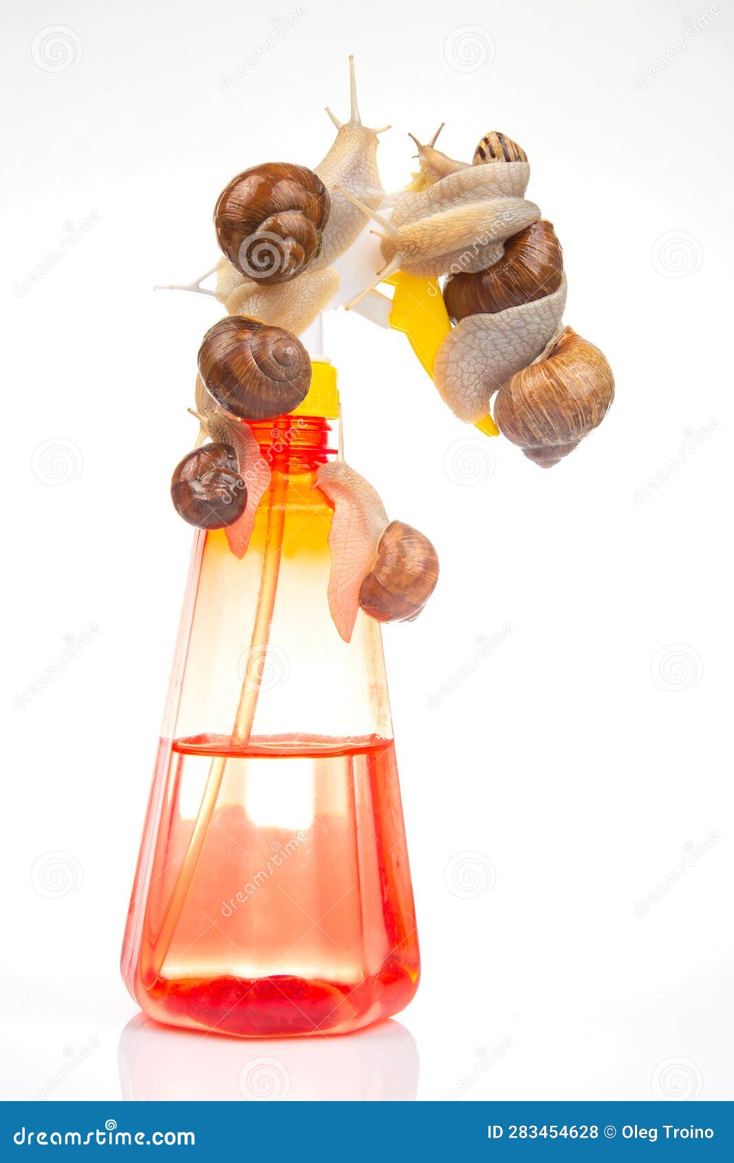 Snails and a Plastic Water Splasher on a White Background. Moisture and ...
