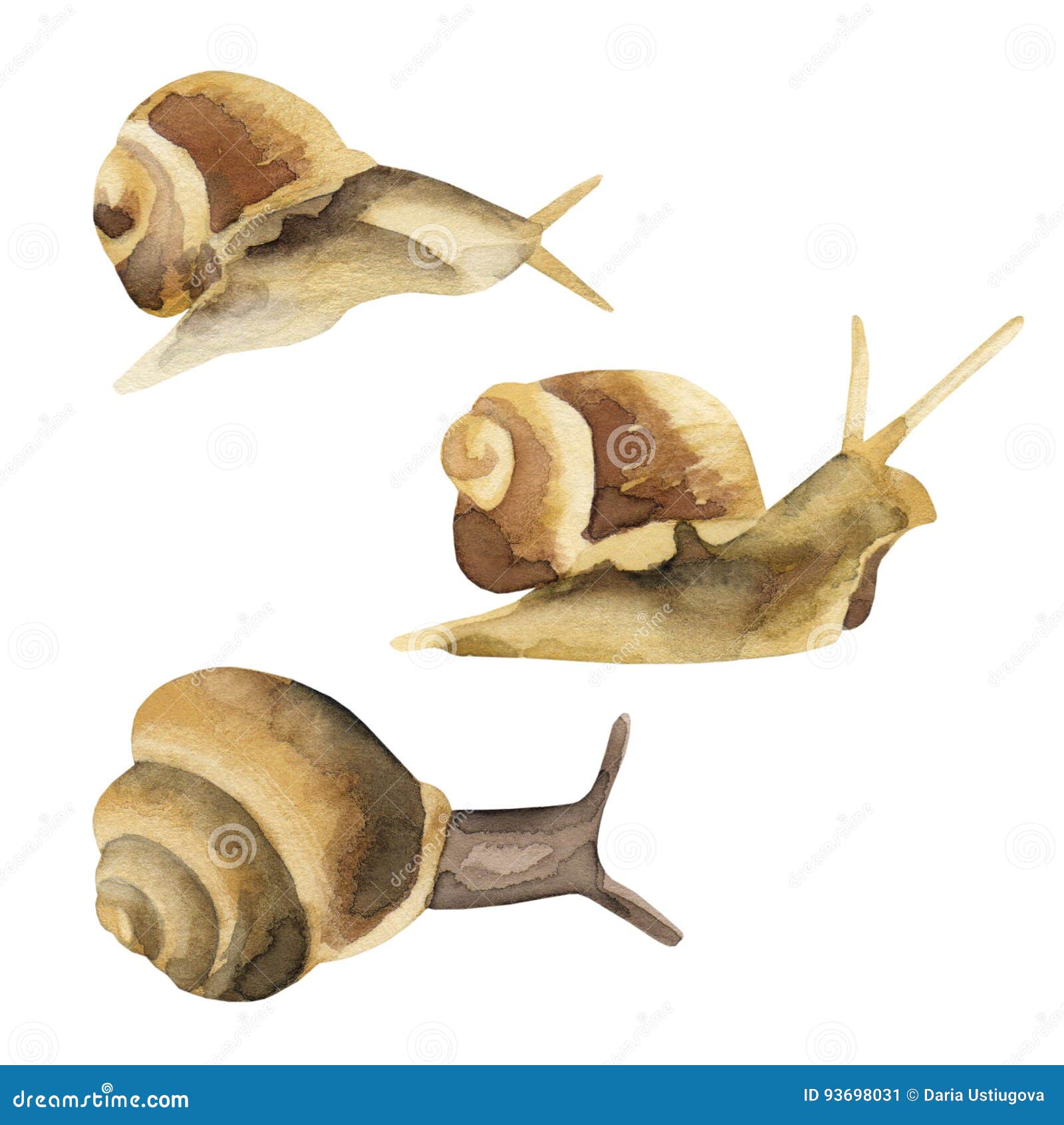 Snails Set, Watercolor Illustration Stock Illustration - Illustration ...