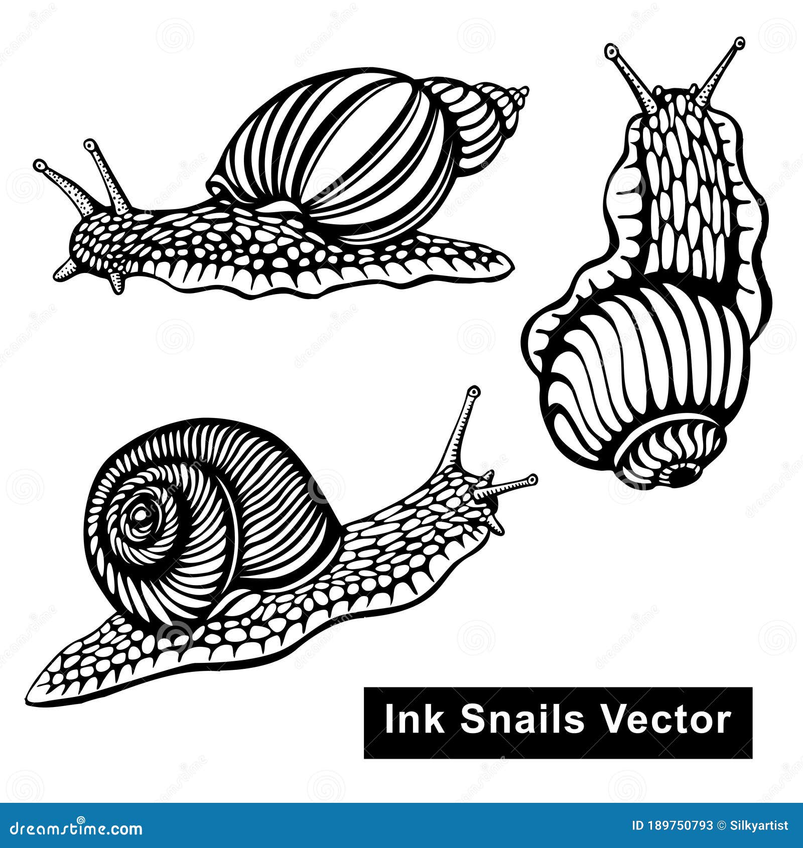 Snails Vector Black and White Illustration - Hand Drawn with Ink ...
