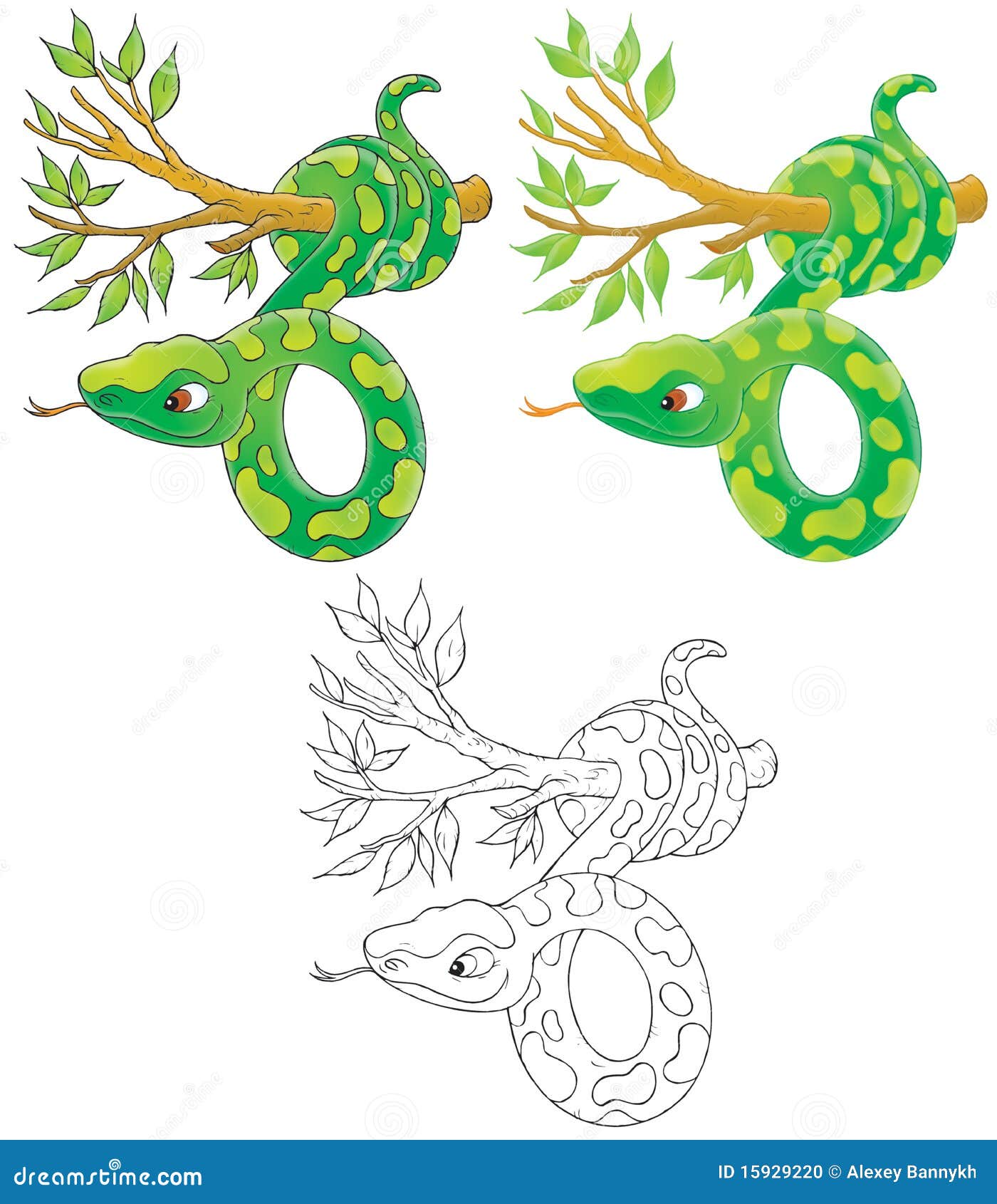 Snake stock illustration. Illustration of hanging, animal - 15929220