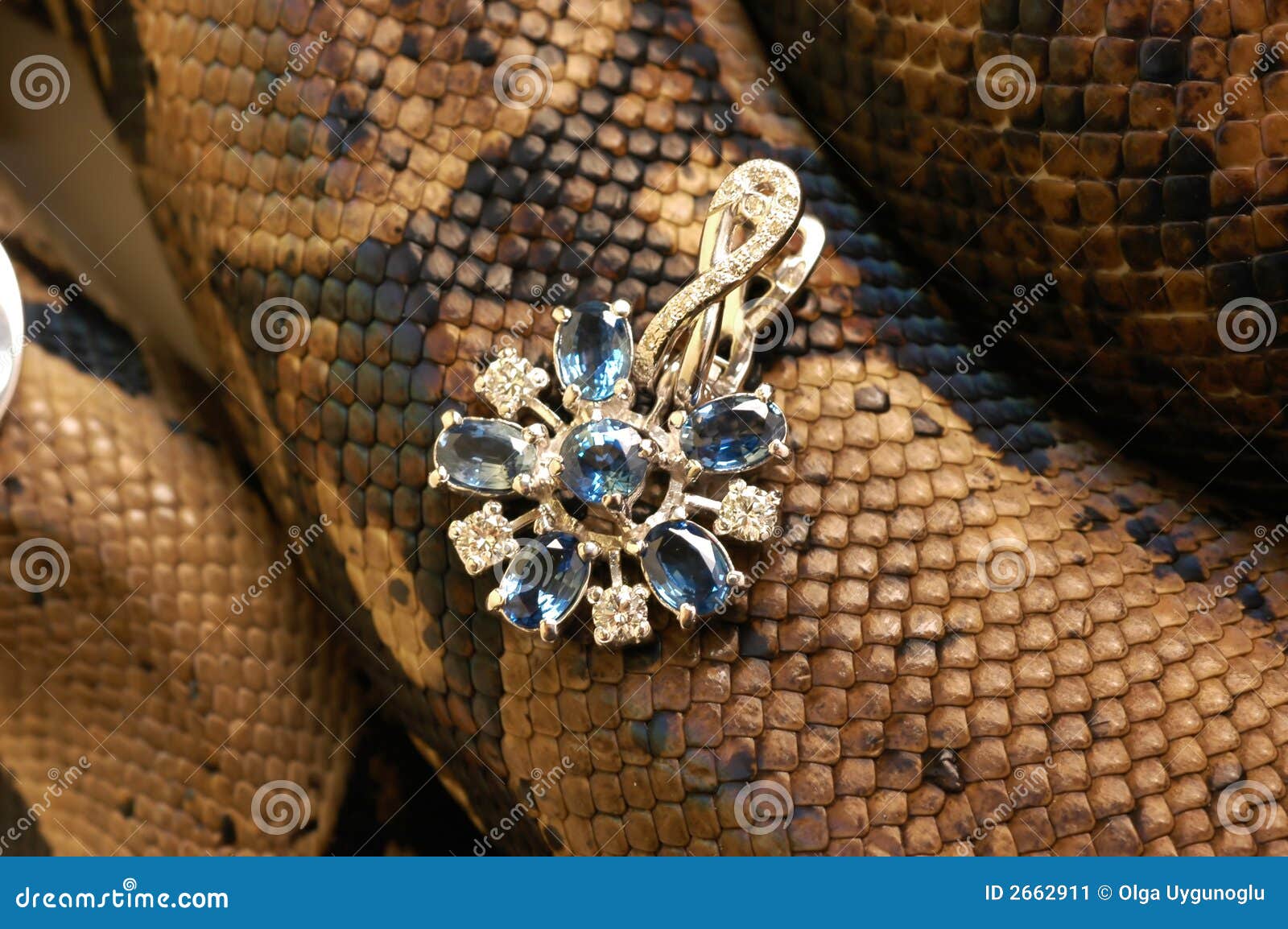 Snake stock image. Image of piece, accessoire, accessory - 2662911