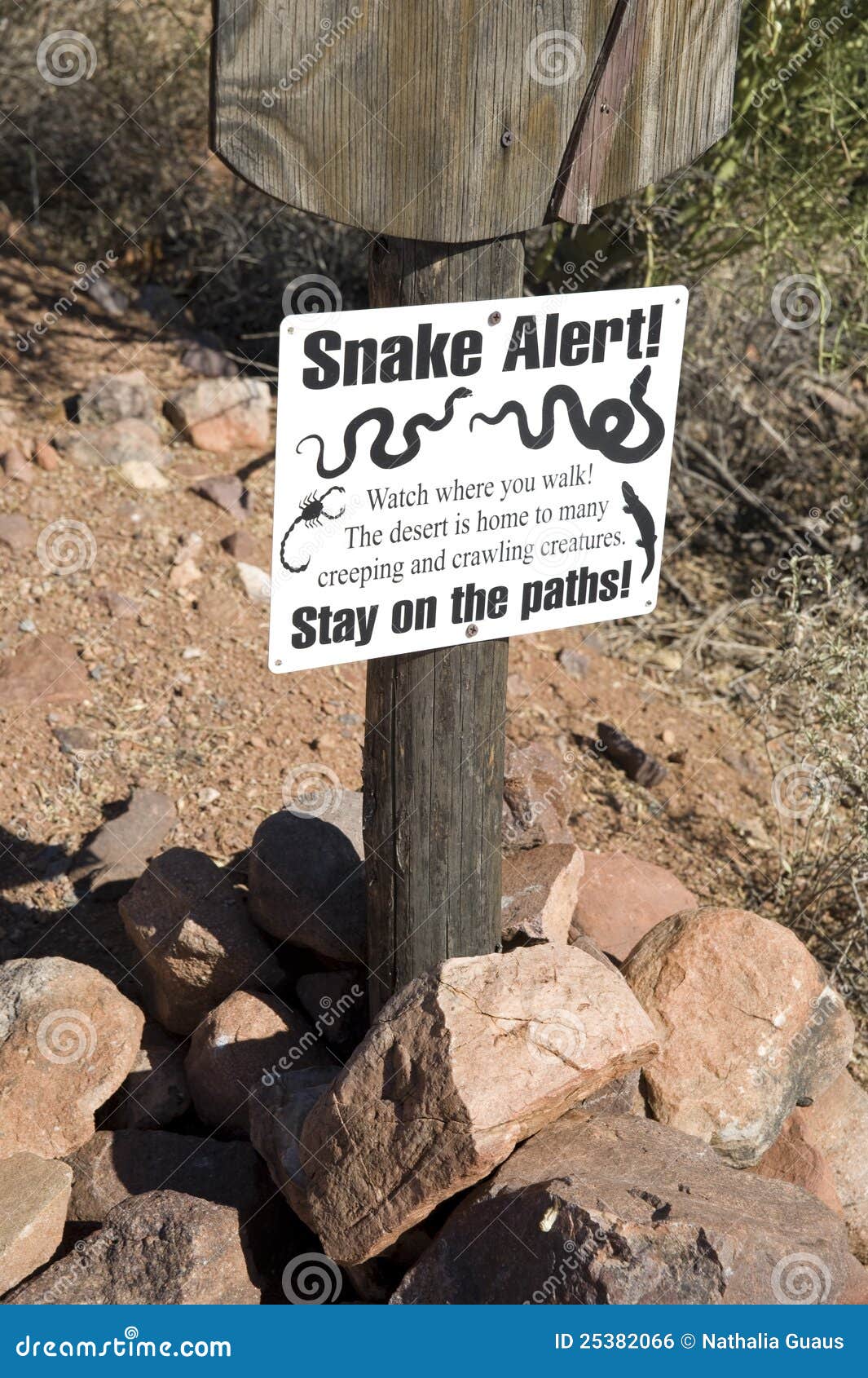 Snake alert stock photo. Image of arizona, desert, united - 25382066
