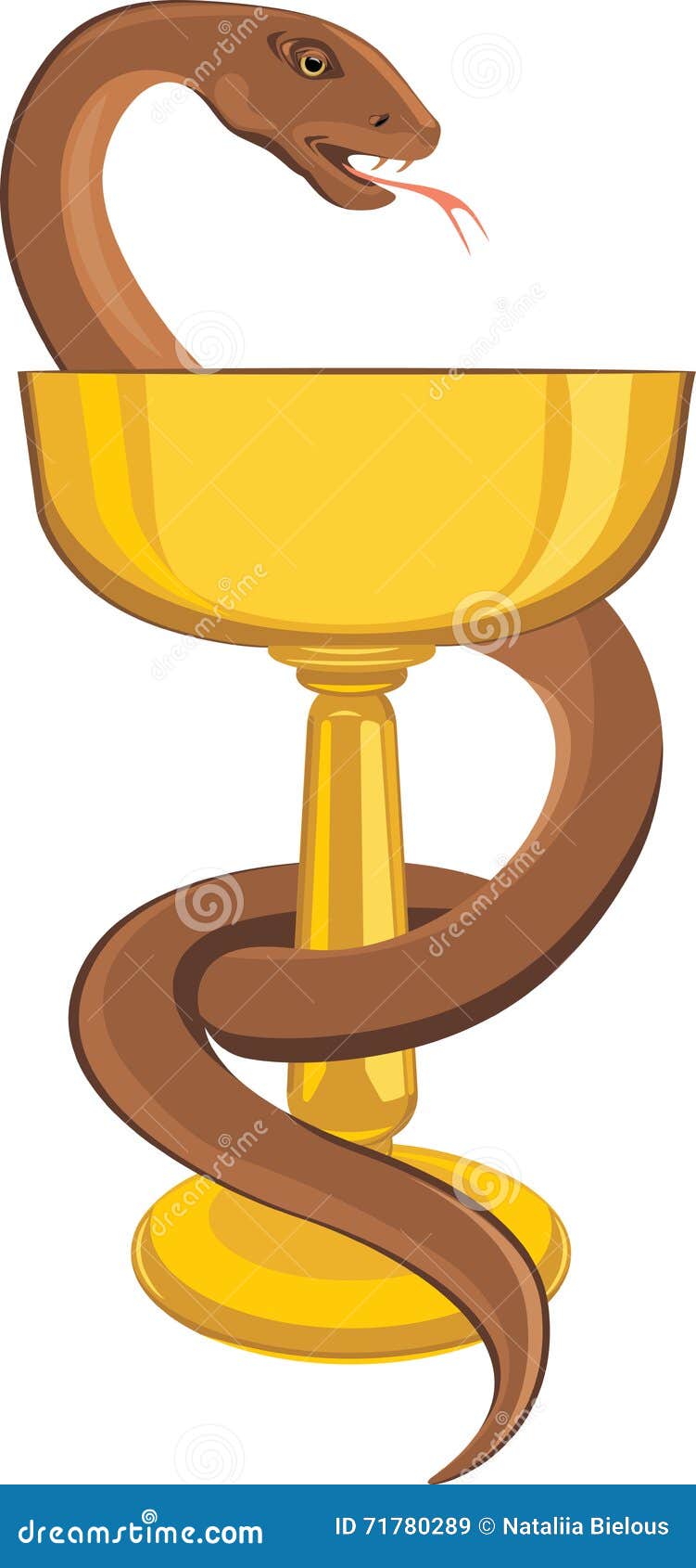 Snake around the cup stock vector. Illustration of golden - 71780289