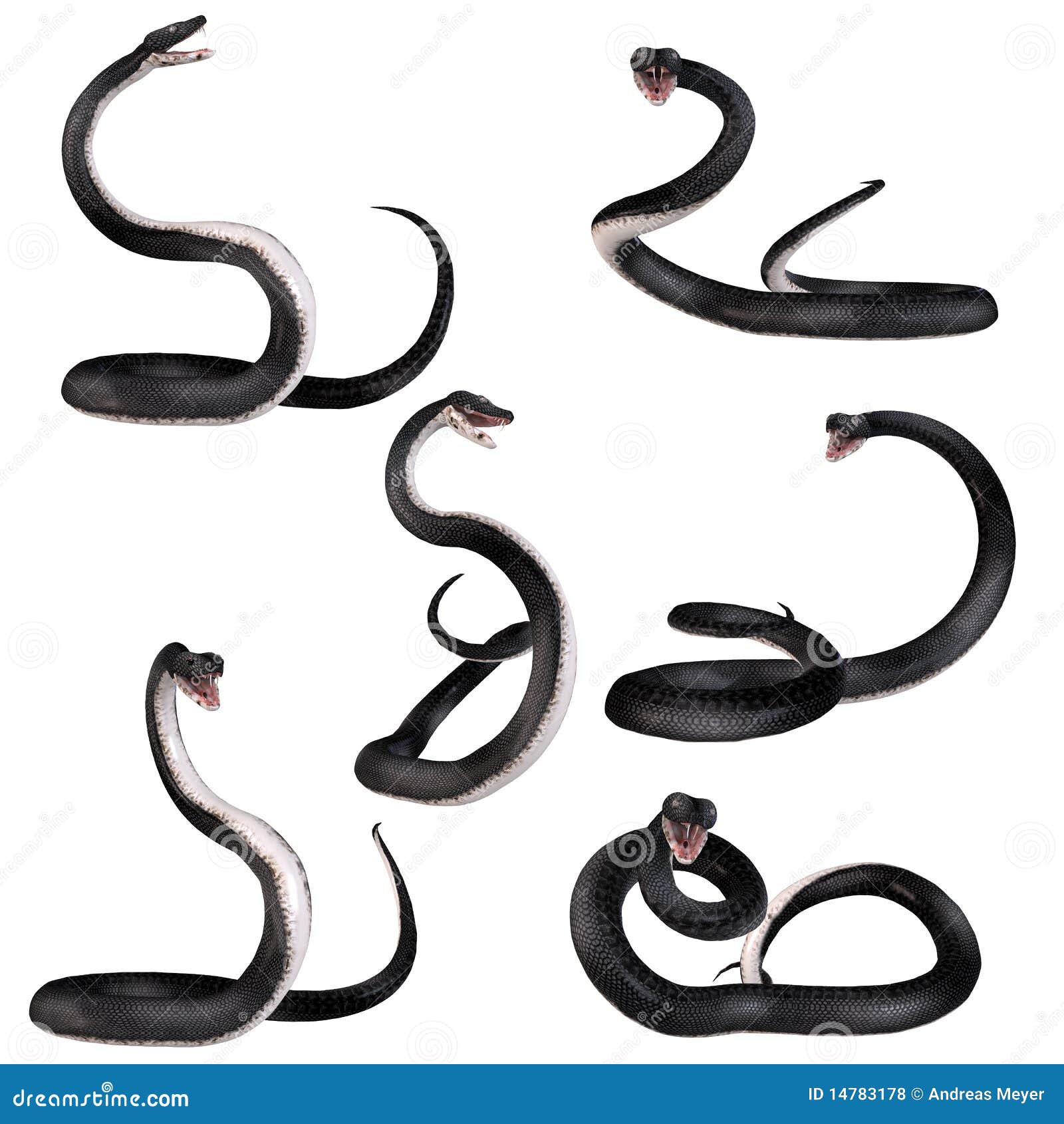 Snake-Black Racer stock illustration. Illustration of digital - 14783178
