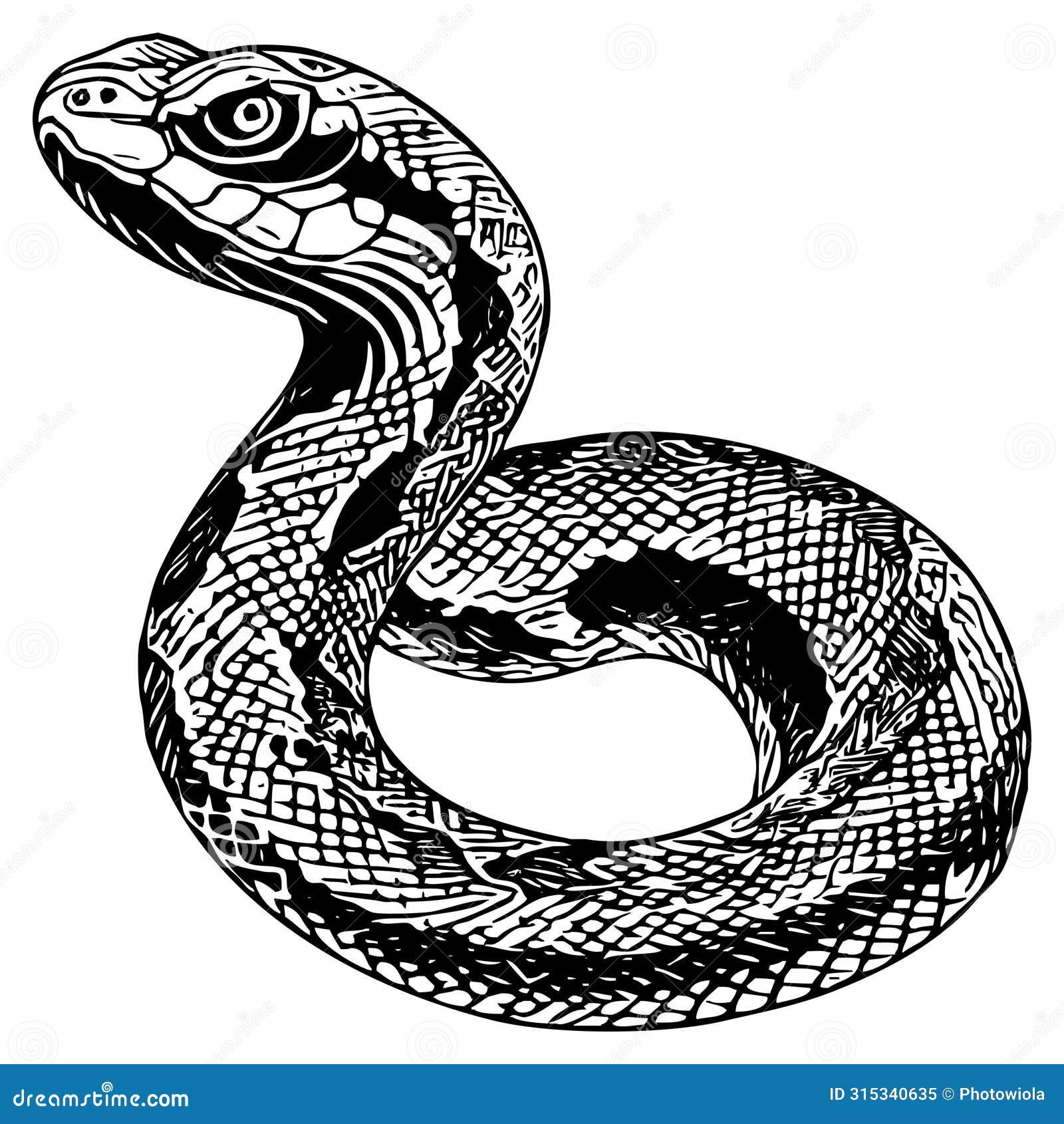 Snake . Black and White Illustration Stock Illustration - Illustration ...