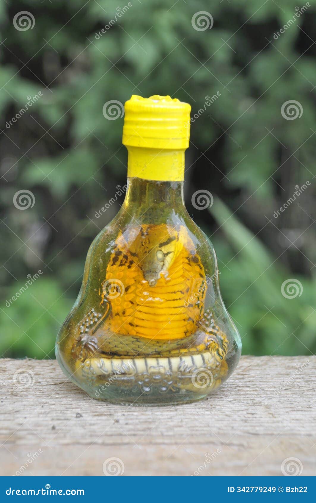 Snake in a Bottle of Alcohol Stock Image - Image of tradition, reptile ...