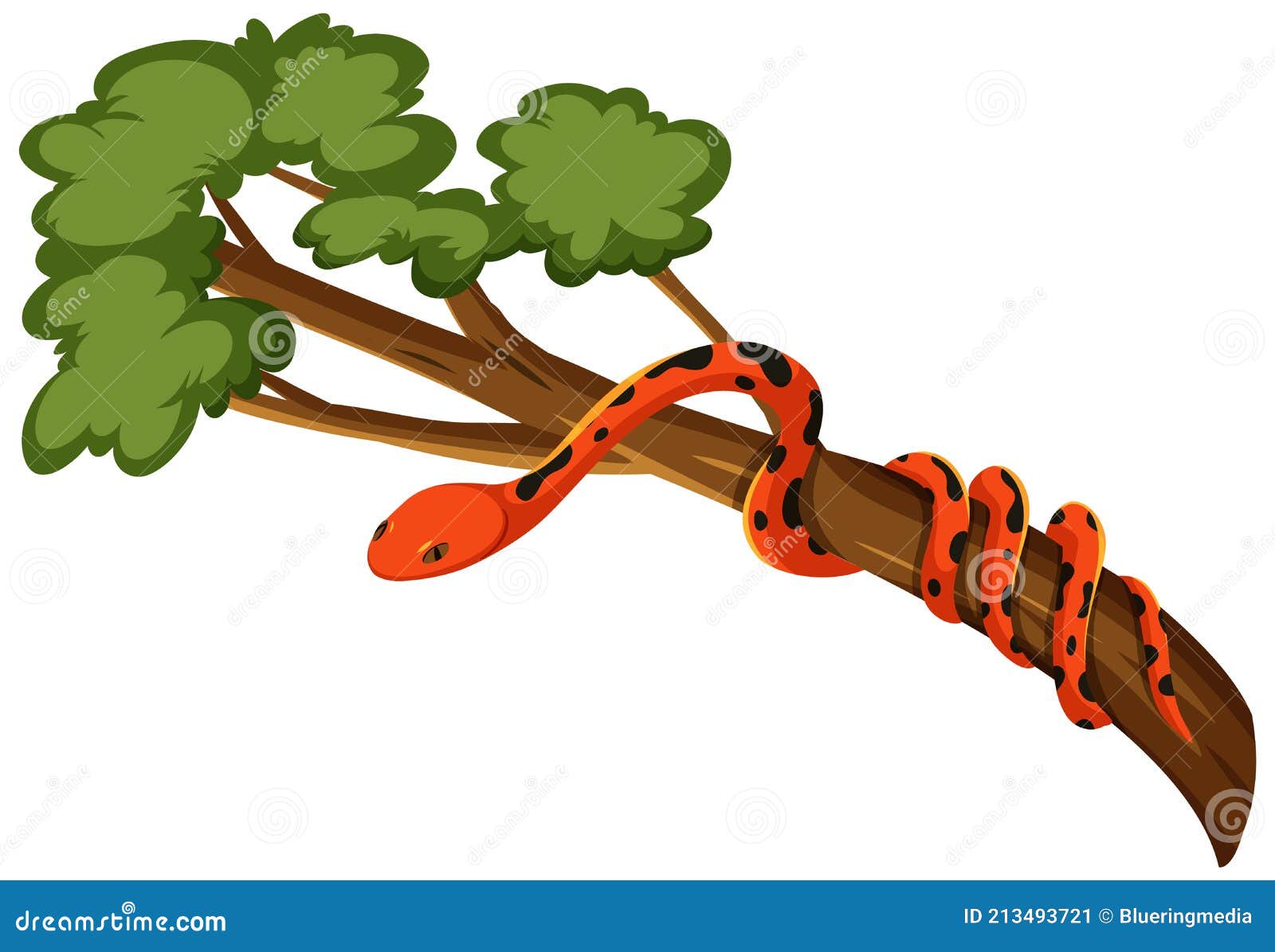 Snake on a Branch Isolated on White Background Stock Vector ...