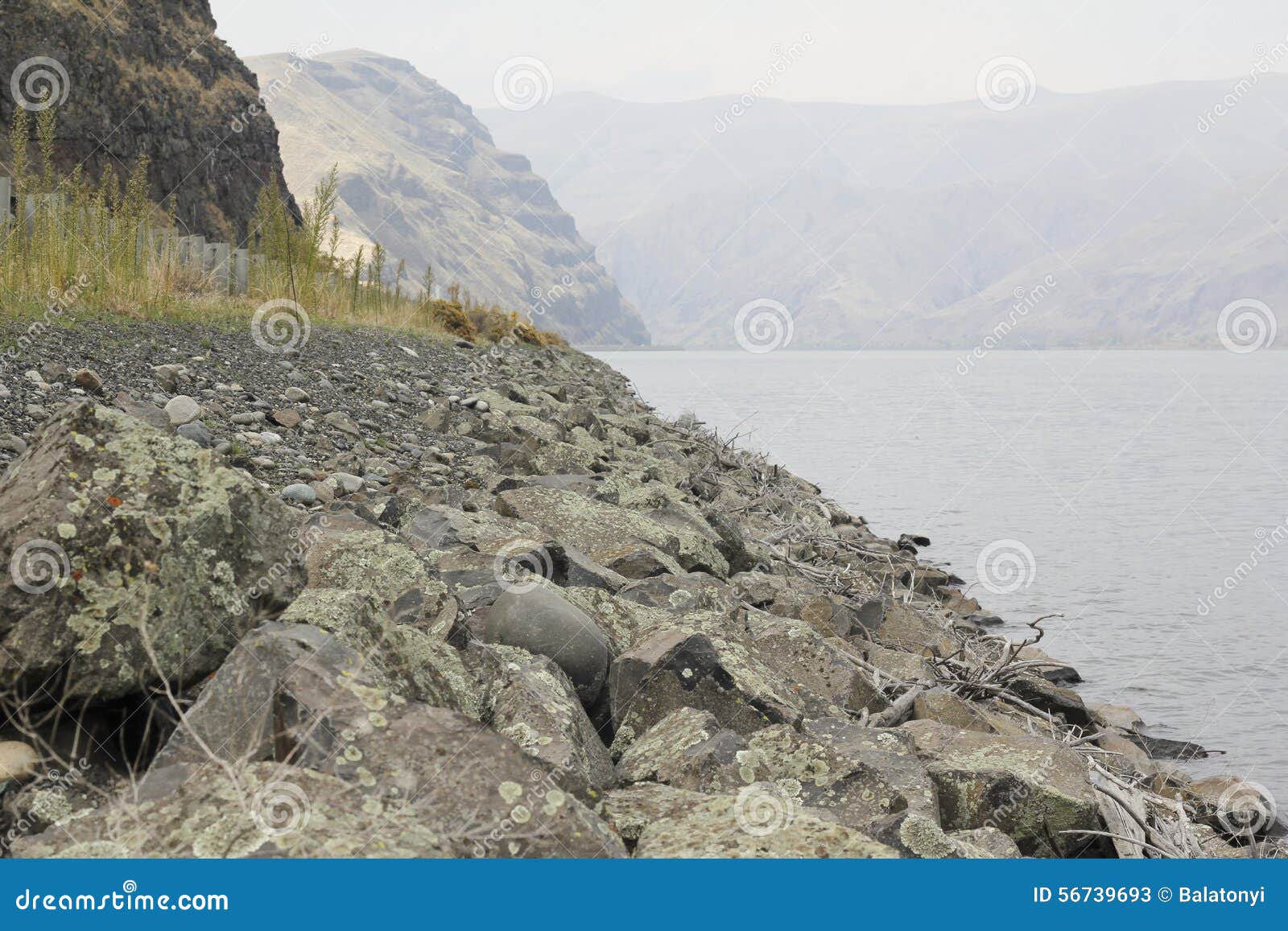 Snake canyon stock image. Image of rocks, rock, snake - 56739693