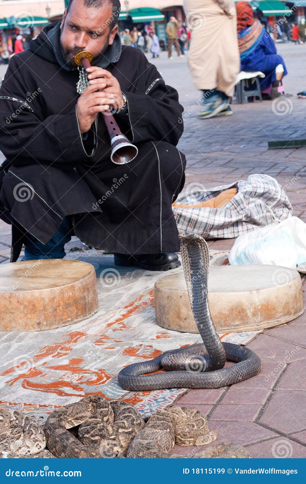 Snake charmer - Morocco editorial stock image. Image of african - 18115199