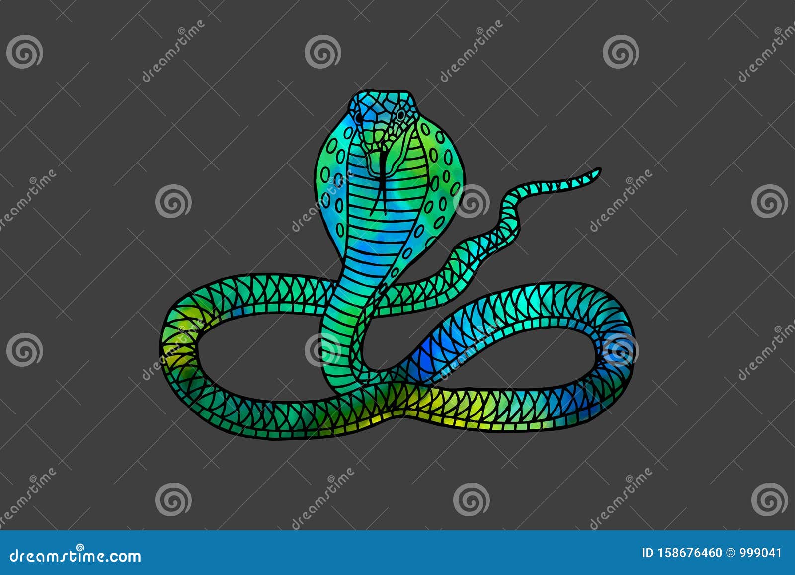Snake Cobra Graphic Patterns. Eps10 Vector Illustration. Hand Drawing ...