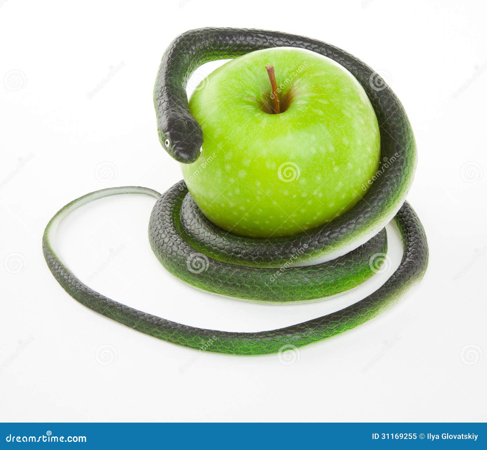 163 Snake Coiling Stock Photos - Free & Royalty-Free Stock Photos from ...