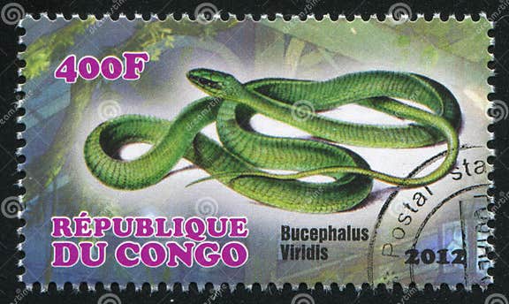 Snake editorial photography. Image of hunting, nature - 321966322