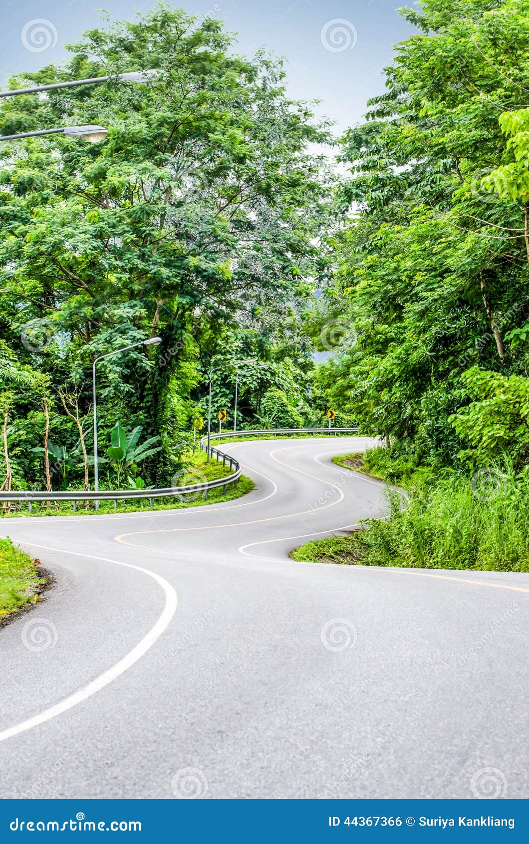 Snake Curved Road Royalty-Free Stock Image | CartoonDealer.com #44367754