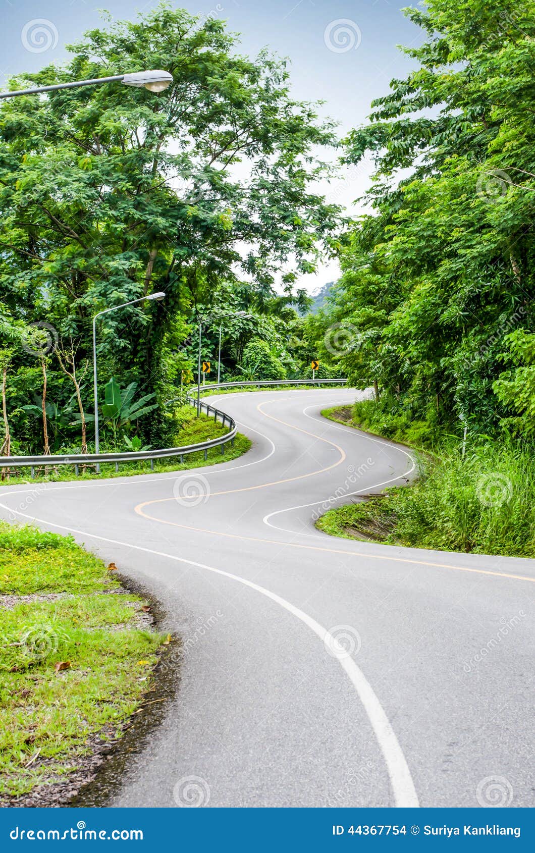 Snake Curved Road Royalty-Free Stock Photo | CartoonDealer.com #49363695