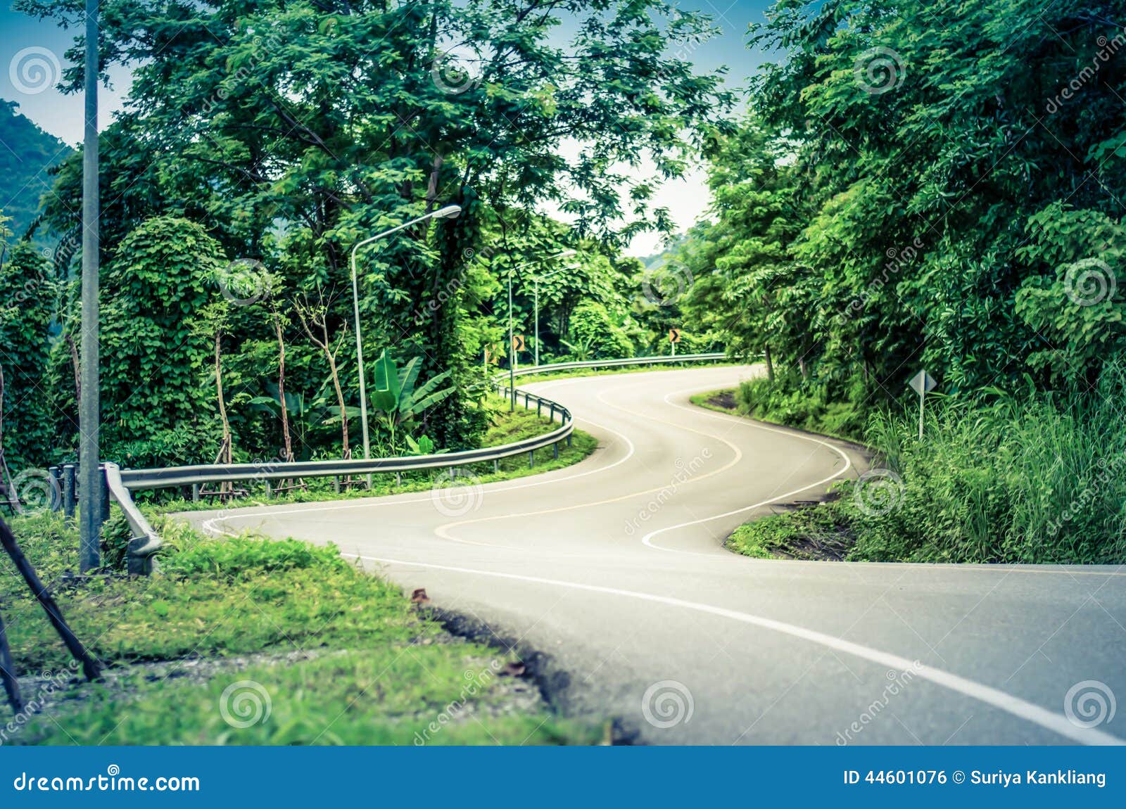 Snake Curved Road Royalty-Free Stock Image | CartoonDealer.com #44601076