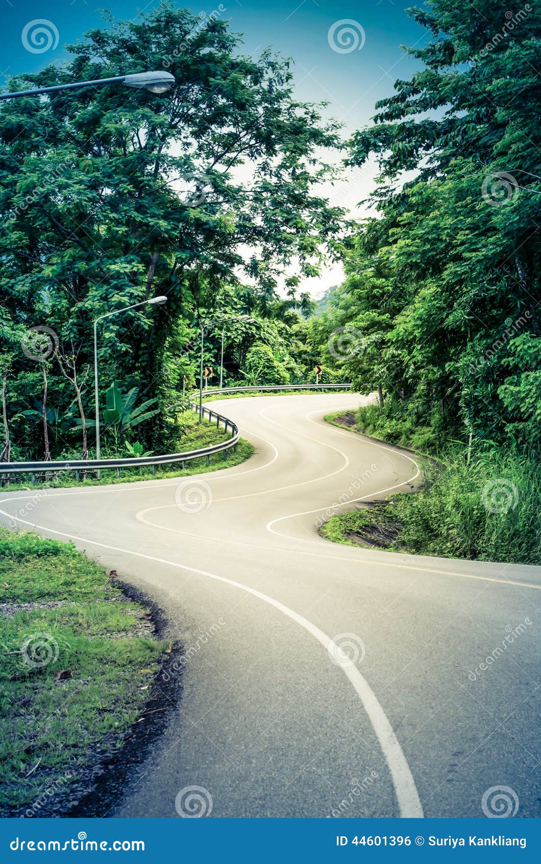 Snake Curved Road Royalty-Free Stock Image | CartoonDealer.com #44601076