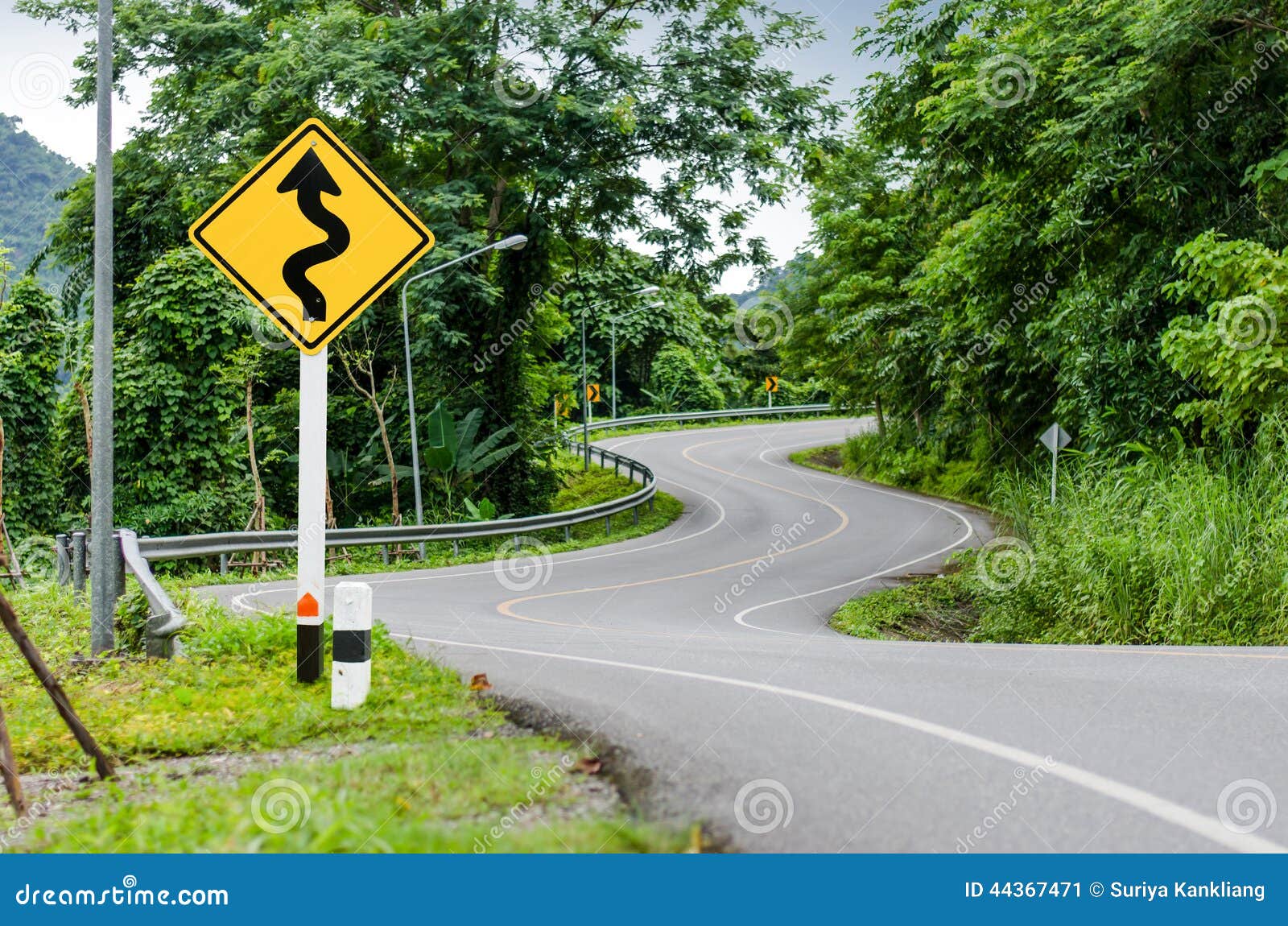 Snake Curved Road Royalty-Free Stock Image | CartoonDealer.com #44601076