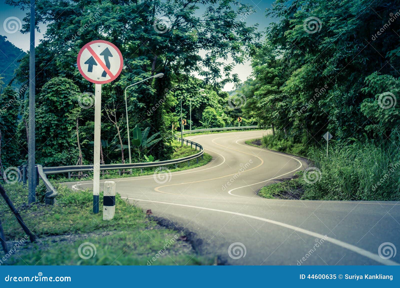 Snake Curved Road And Warning Sign Stock Image | CartoonDealer.com ...