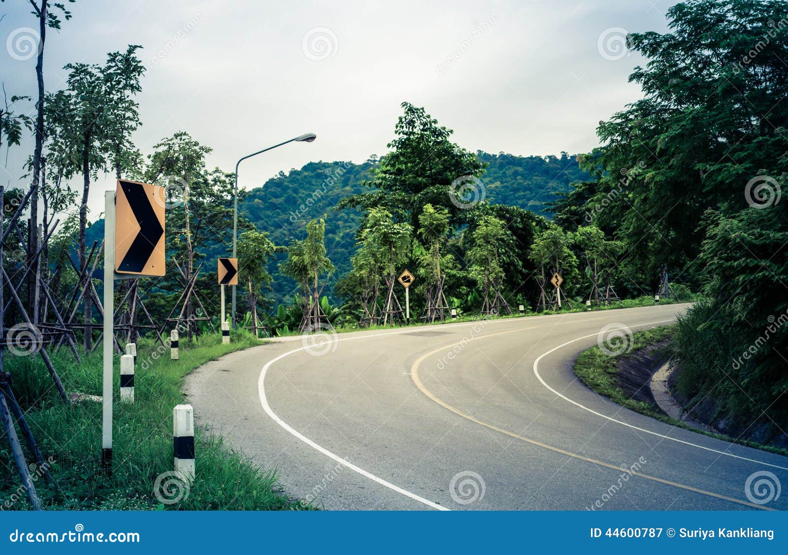 Snake Curved Road Royalty-Free Stock Photo | CartoonDealer.com #49363695