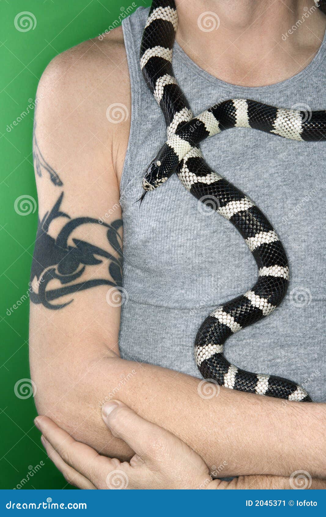 Snake Draped Around Man S Neck Stock Image - Image of colour, green ...