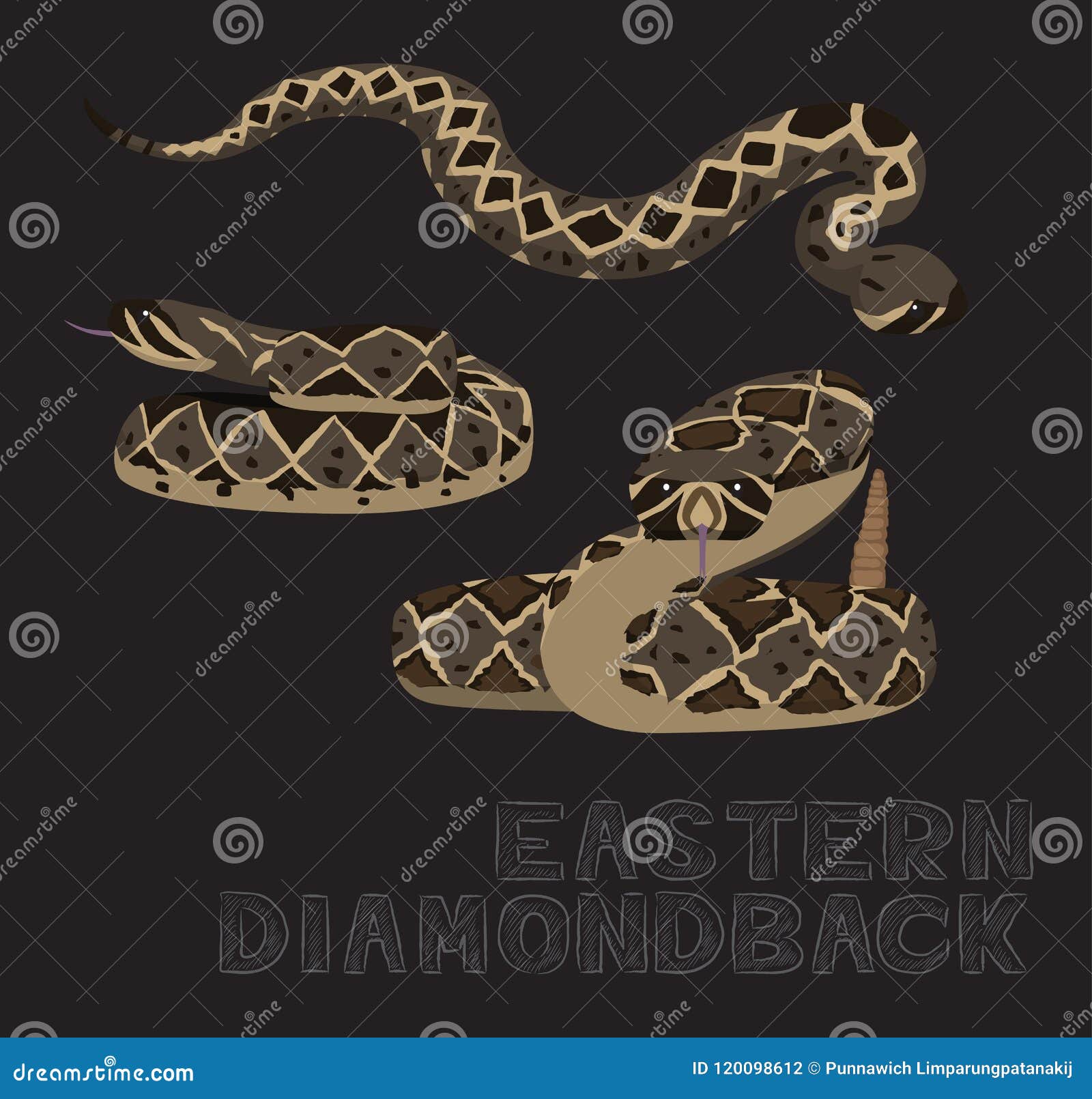 Snake Eastern Diamondback Cartoon Vector Illustration Stock Vector ...