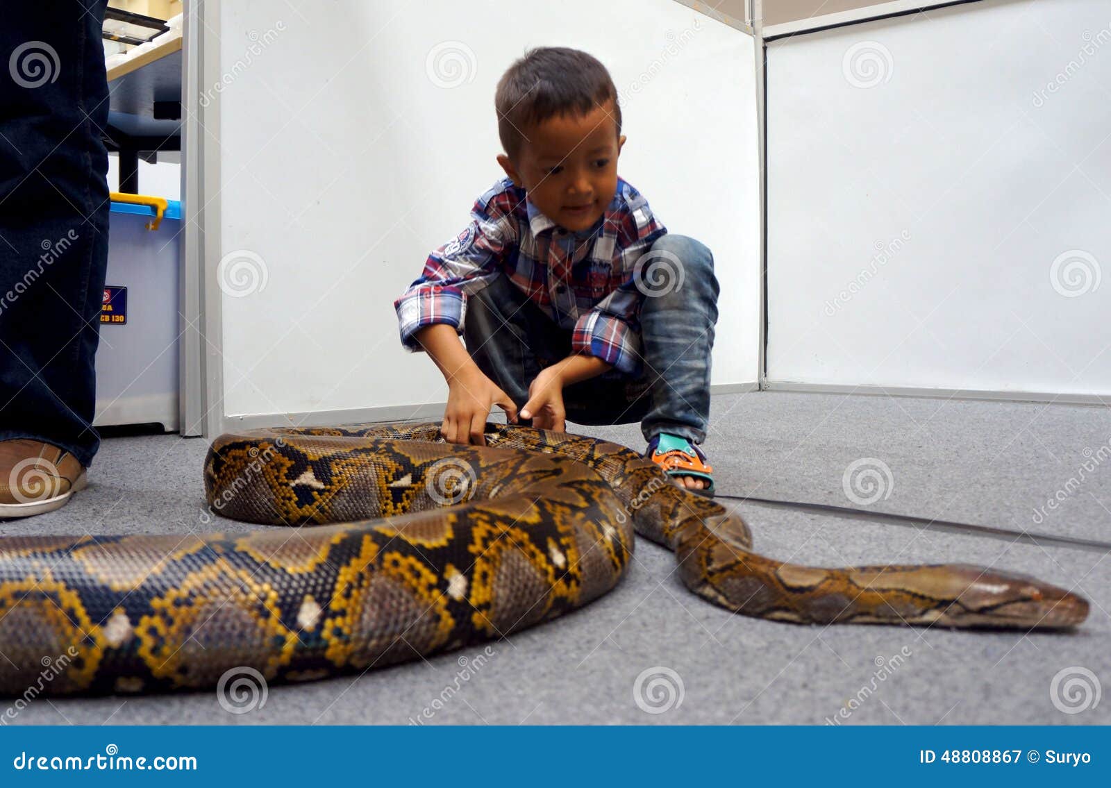 Snake editorial photography. Image of karanganyar, shopping - 48808867