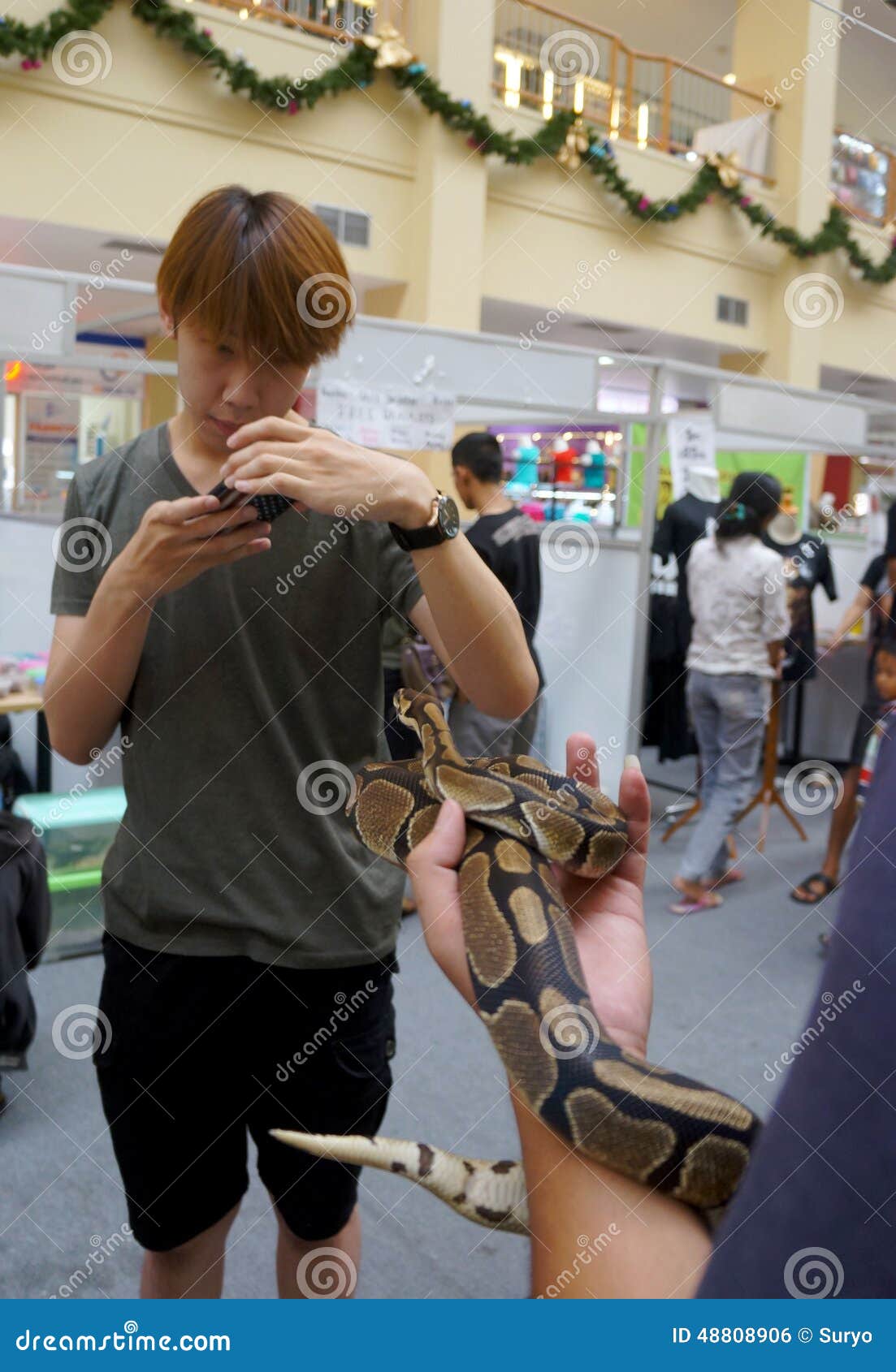 Snake editorial photo. Image of shoulder, community, karanganyar - 48808906