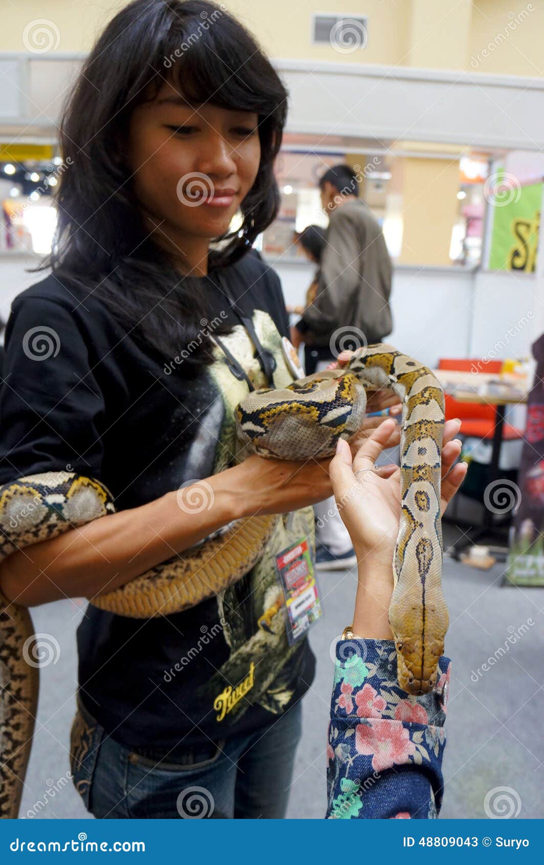 Snake editorial stock photo. Image of gathered, community - 48809043