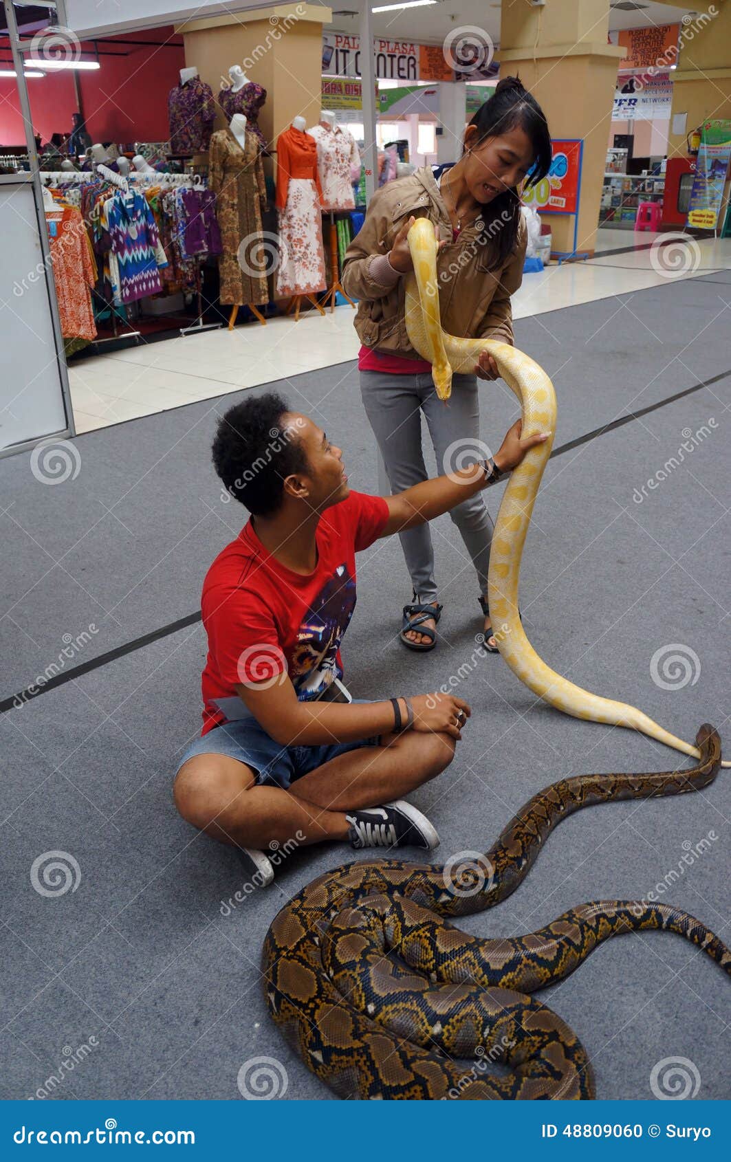 Snake editorial image. Image of girl, indonesia, mall - 48809060