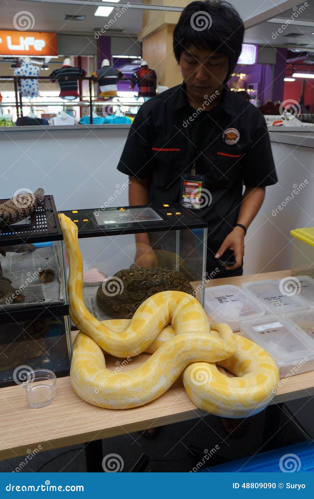 Snake editorial image. Image of gathered, shopping, mall - 48809090