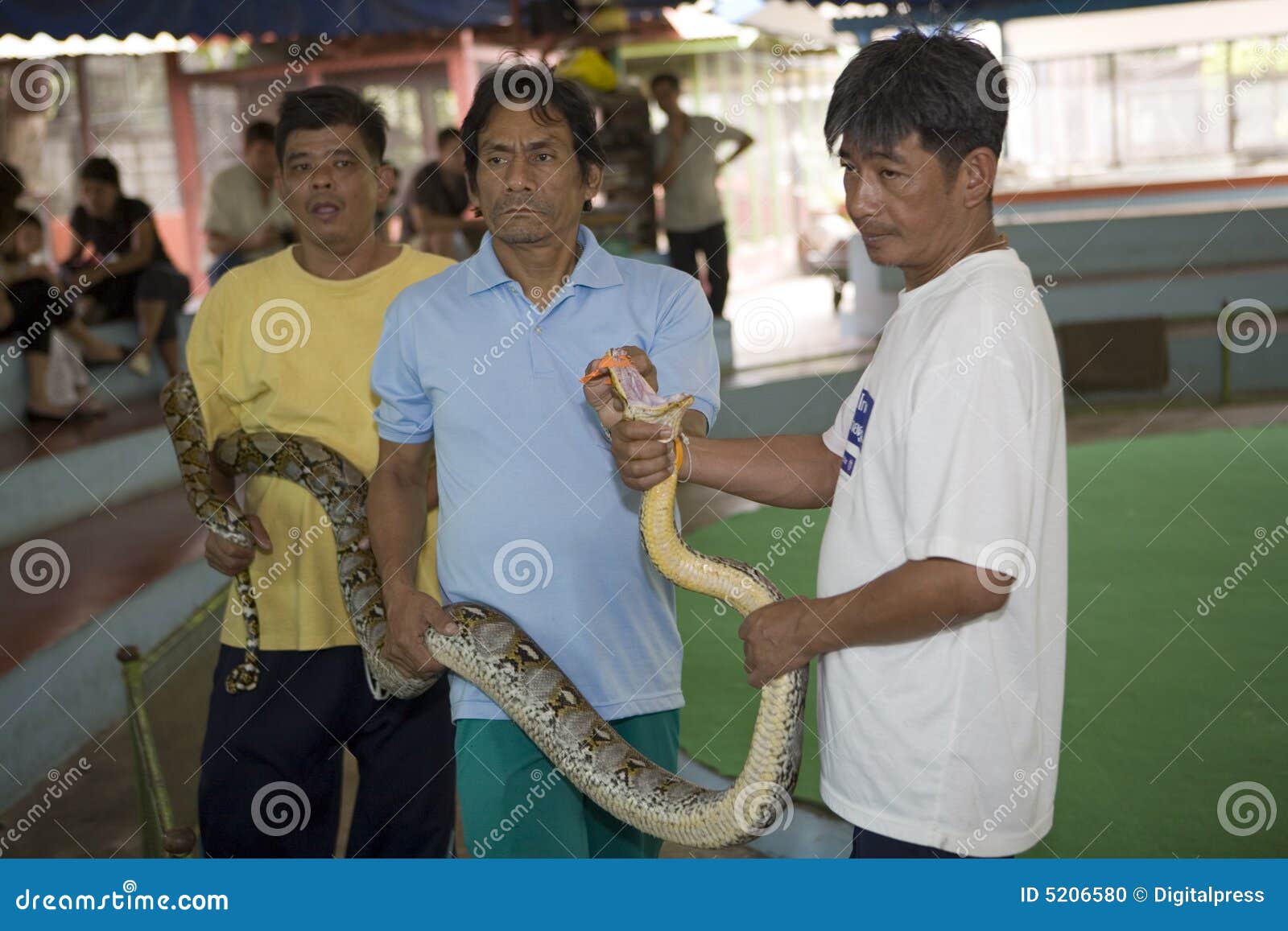 Snake farm in Bangkok editorial image. Image of animal - 5206580