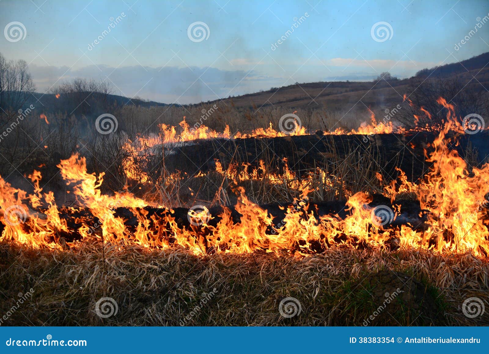 Snake of fire stock photo. Image of huge, pollution, power - 38383354
