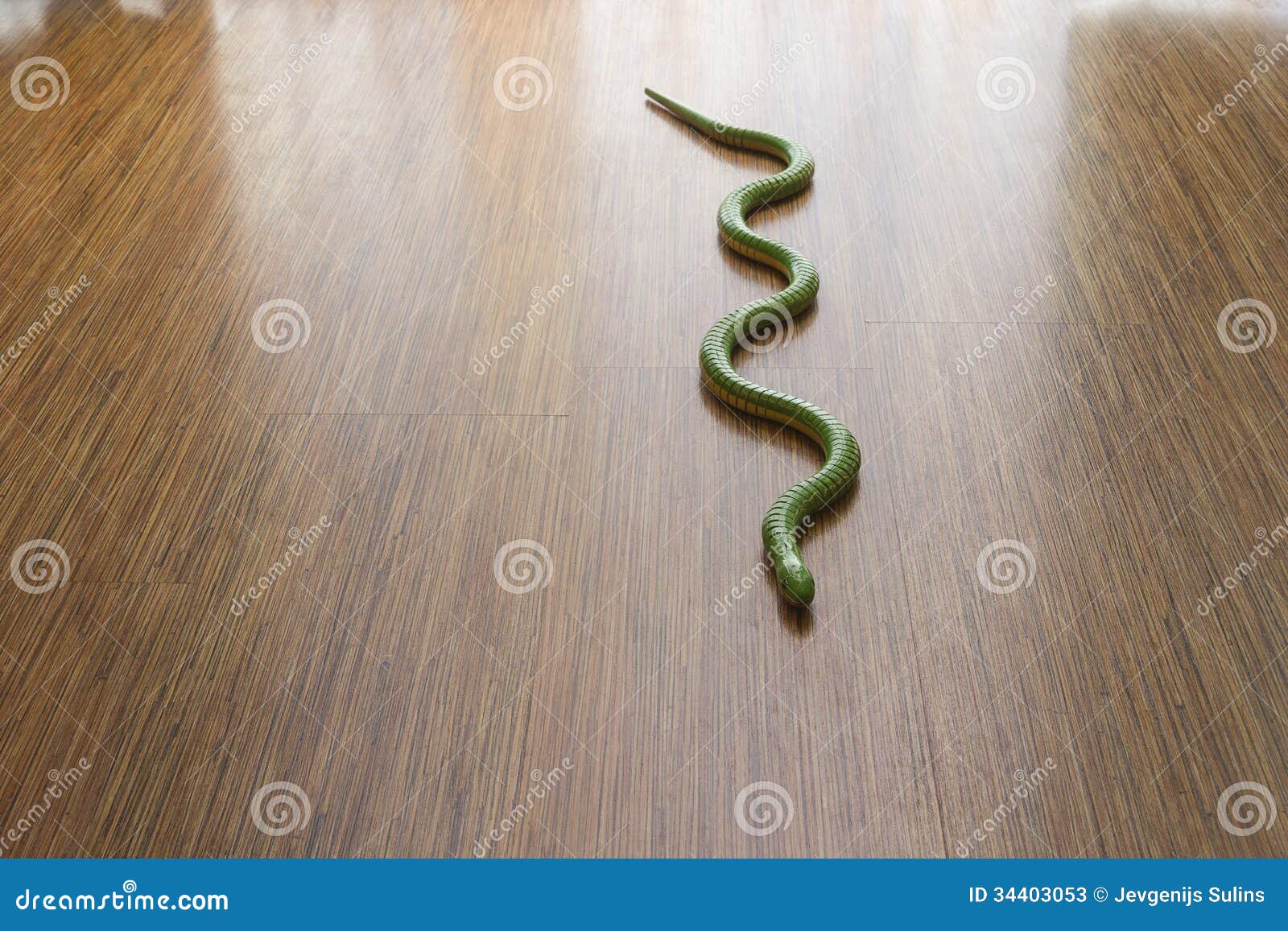 Snake on the floor stock image. Image of venomous, stripes - 34403053