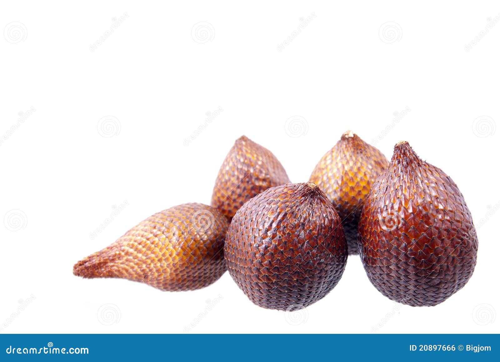 Snake Fruit stock photo. Image of salak, tropical, thai - 20897666