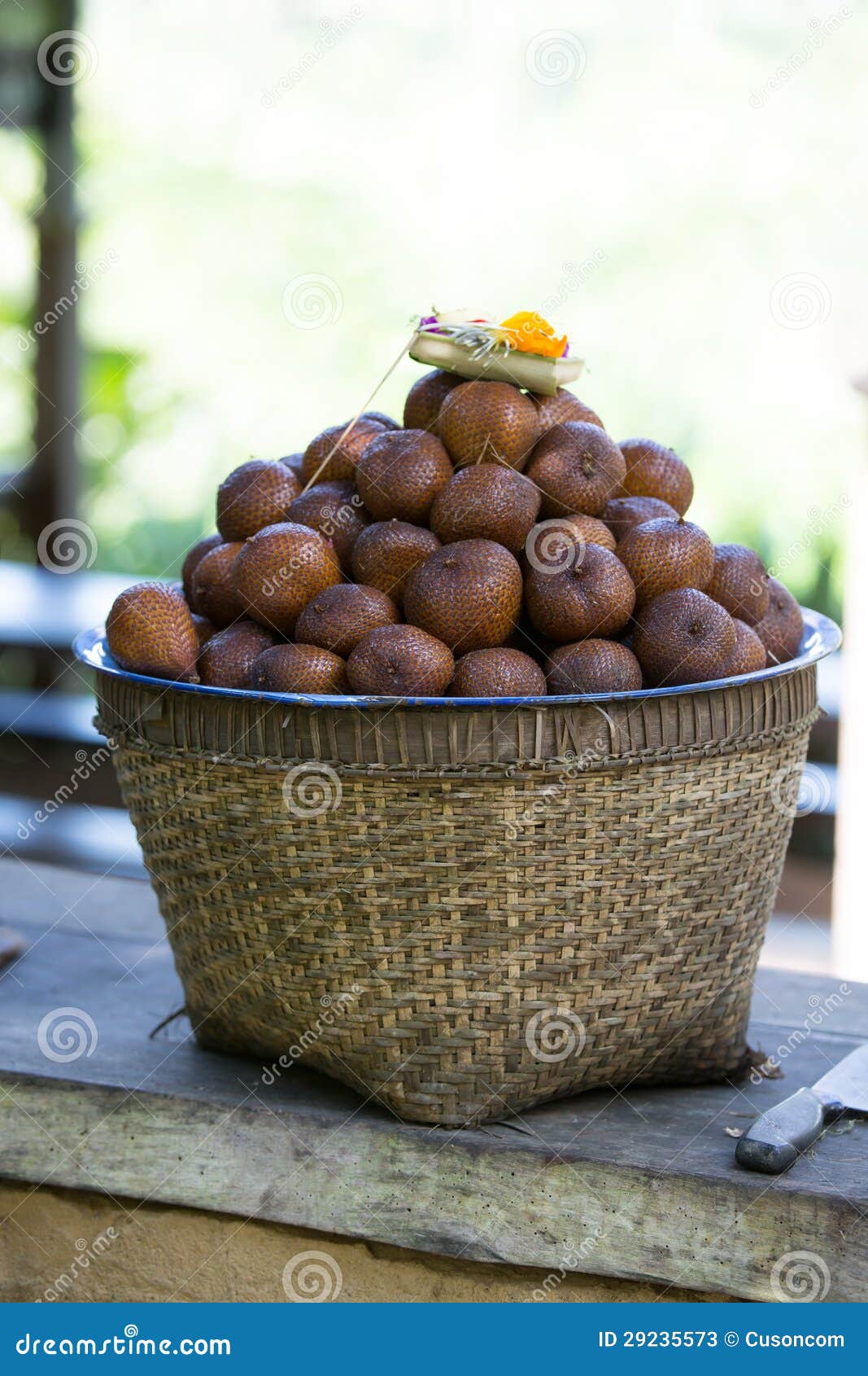 Snake Fruit stock image. Image of fresh, studio, snakefruit - 29235573