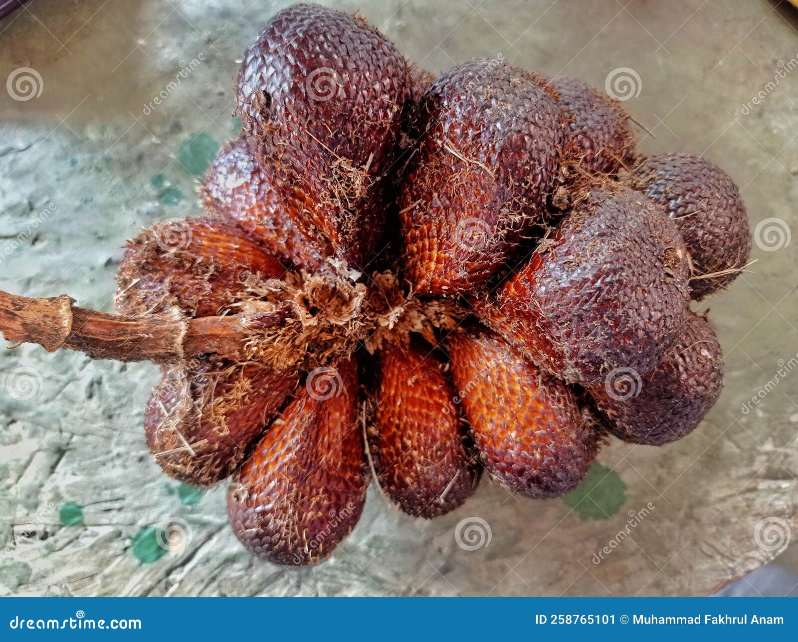 Snake Fruit Freshly Picked from the Tree Stock Image - Image of juice ...