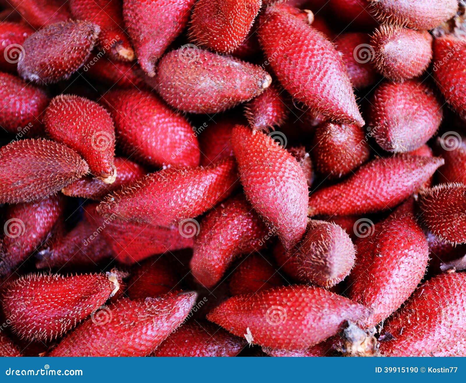 Snake fruit stock photo. Image of cooking, fruit, nature - 39915190