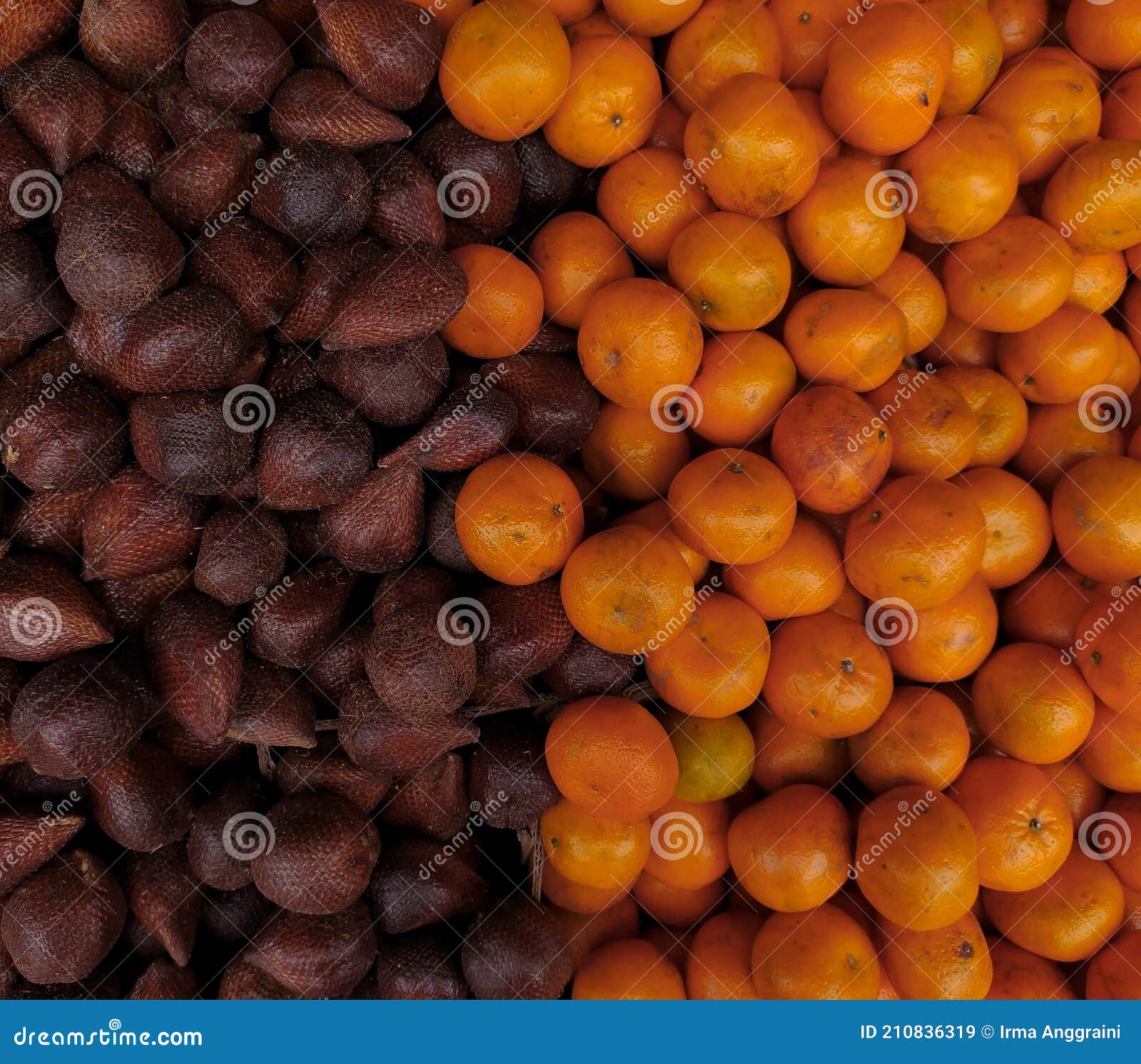 Snake Fruit and Orange Fruits that Taste Sweet Stock Image - Image of ...