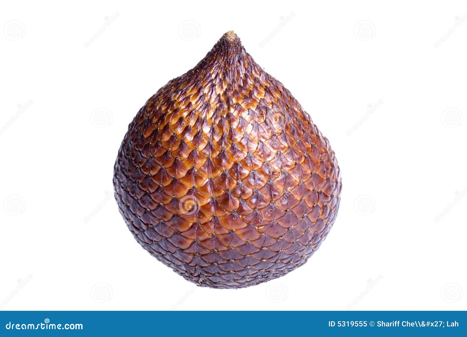 Snake Fruit from Salak Palm Stock Image - Image of pondoh, white: 5319555