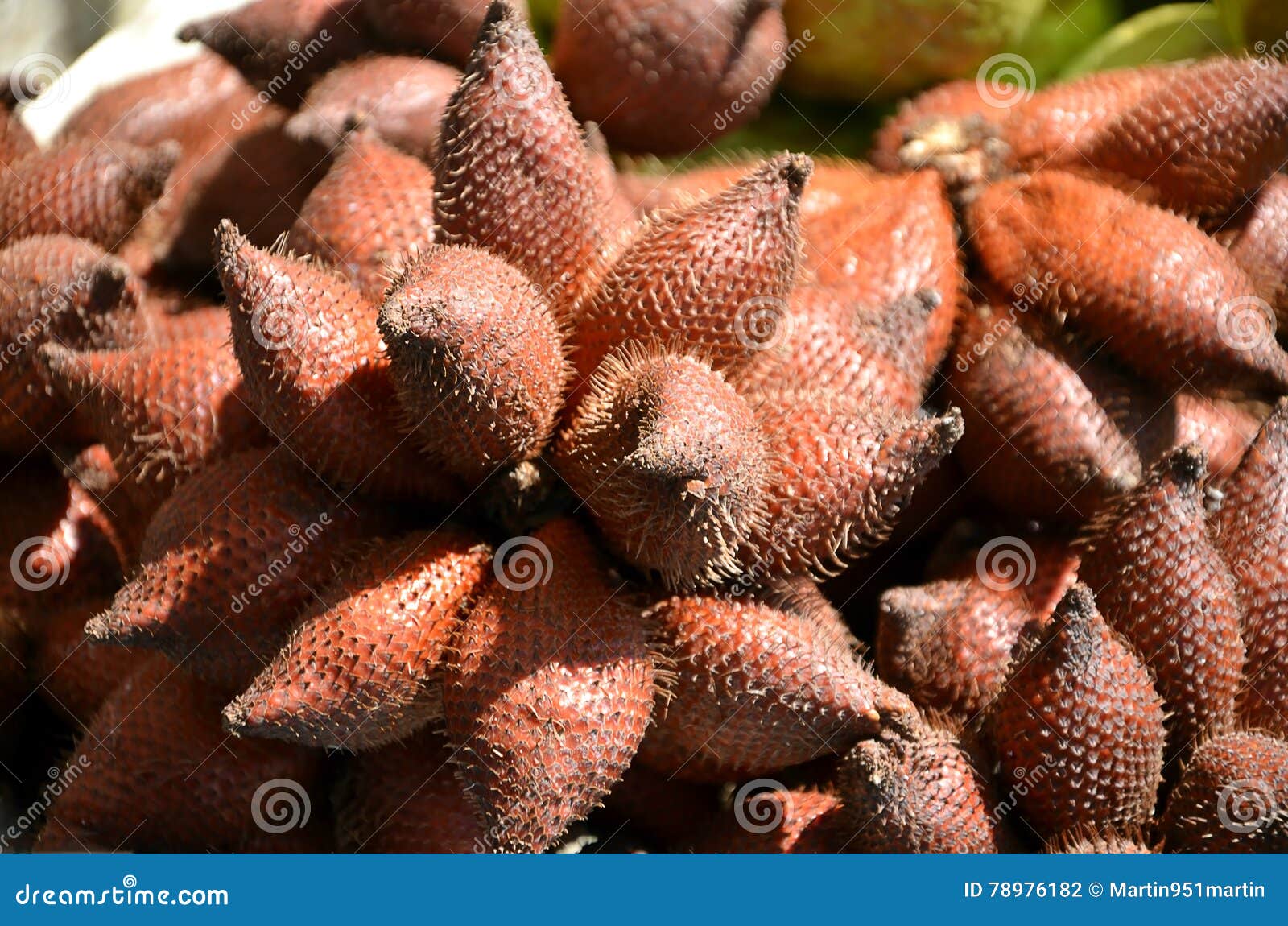 Snake Fruit Tropical Exotic Fruit Detail Photography Stock Photo ...
