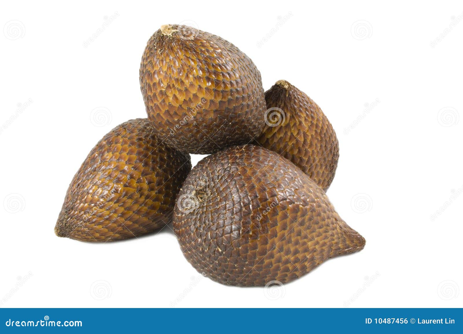 Snake Fruits stock photo. Image of silo, nutrition, asian - 10487456