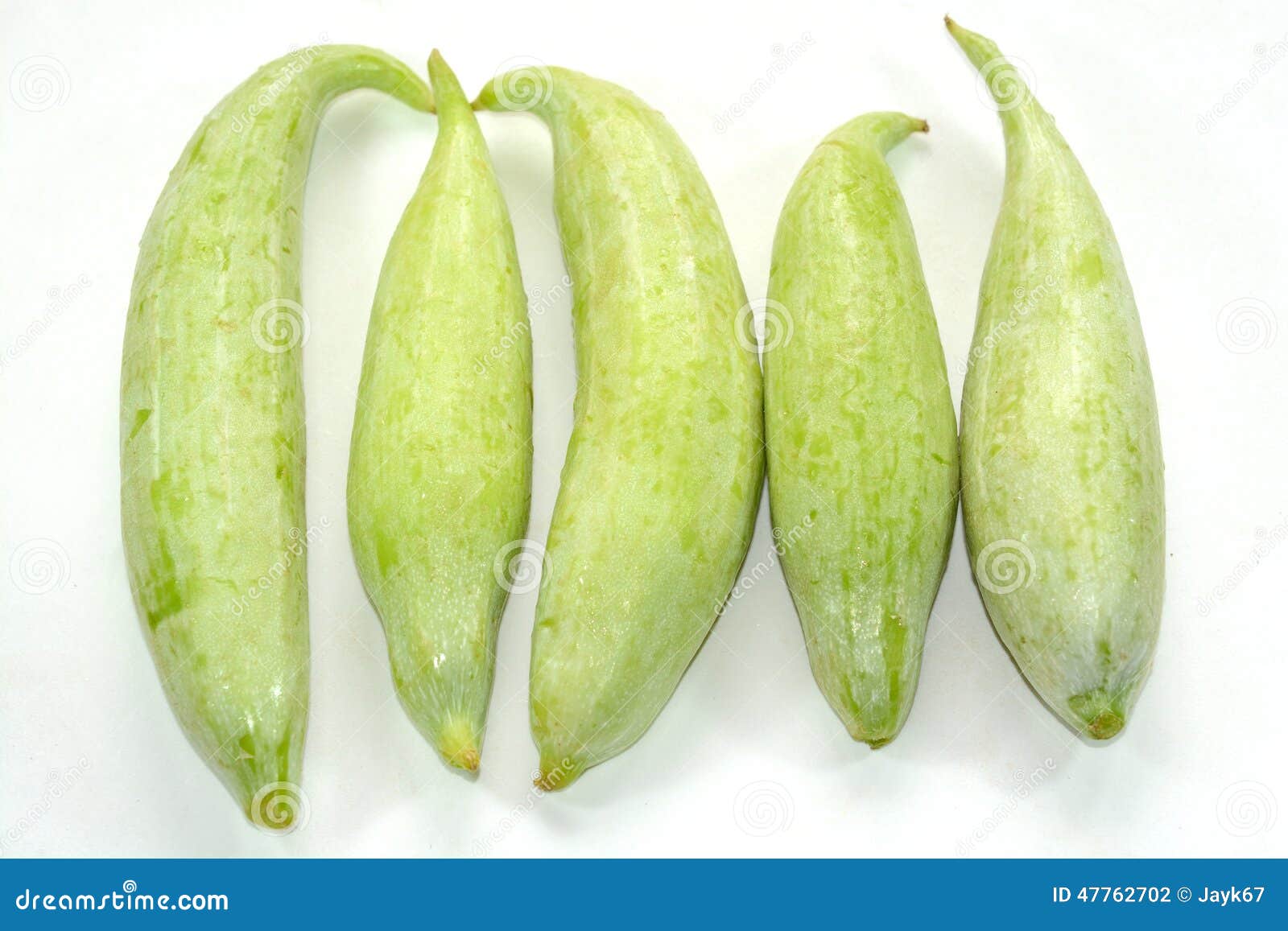 Snake Gourd, Sri Lankan Vegetable, Name In Sinhala Pathola, Scientific ...