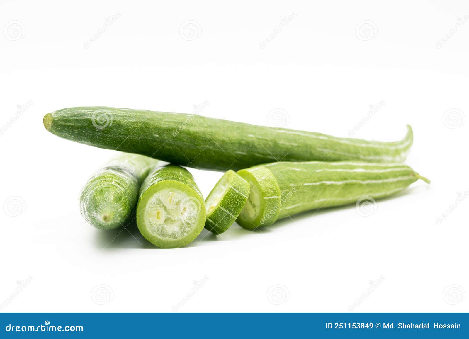 Snake Gourd Slices Isolated on White Background Stock Image - Image of ...