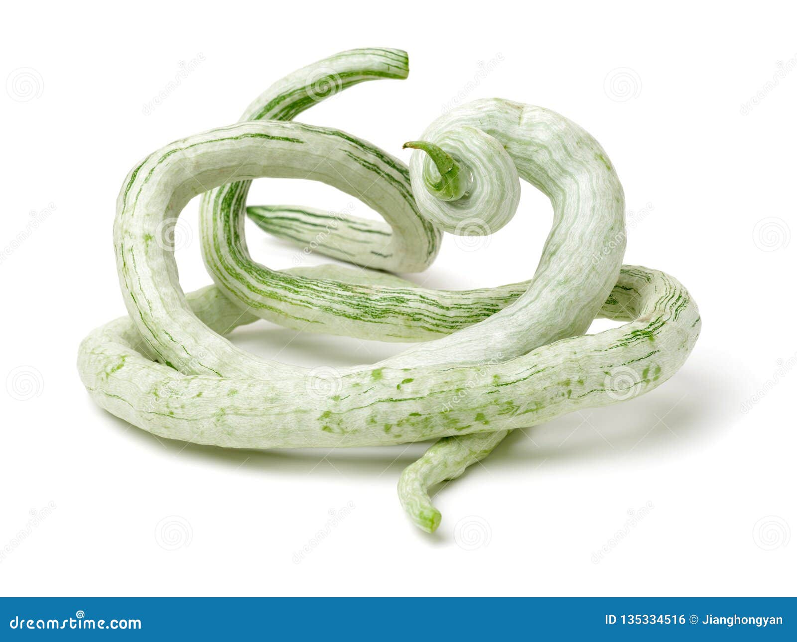 Snake Gourd, Sri Lankan Vegetable, Name In Sinhala Pathola, Scientific ...