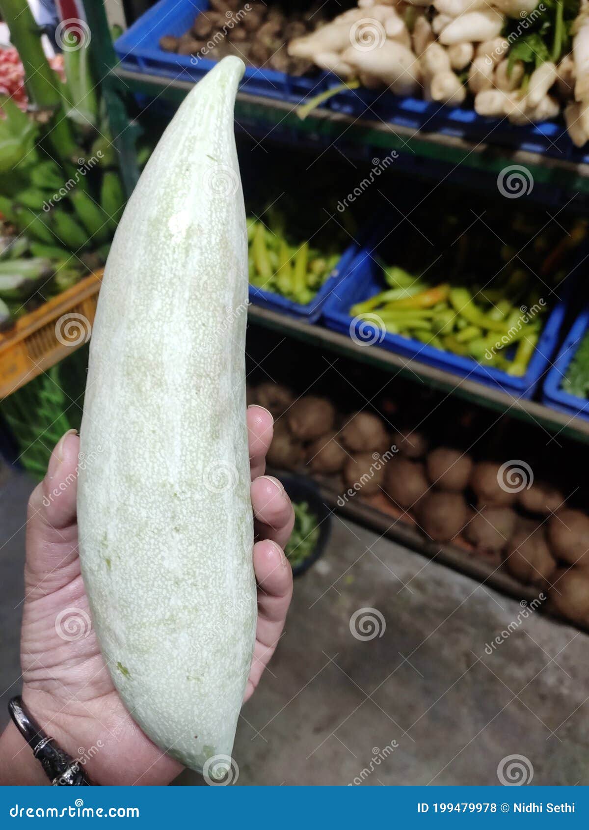 Snake Gourd. Vegetable Shopping Stock Photo - Image of bangalore ...
